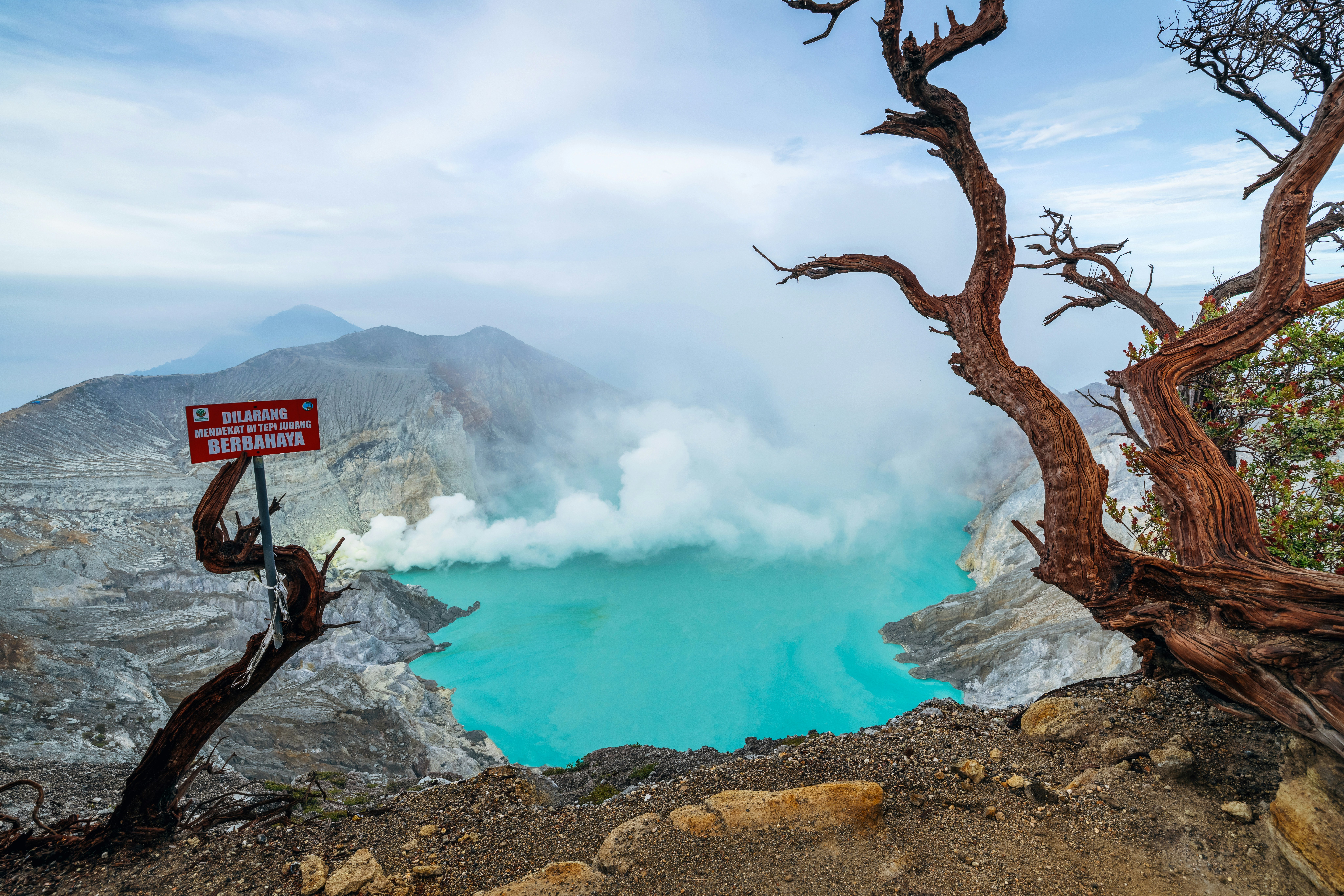 Turquoise Crater Beneath Gnarled Sentinel Pines