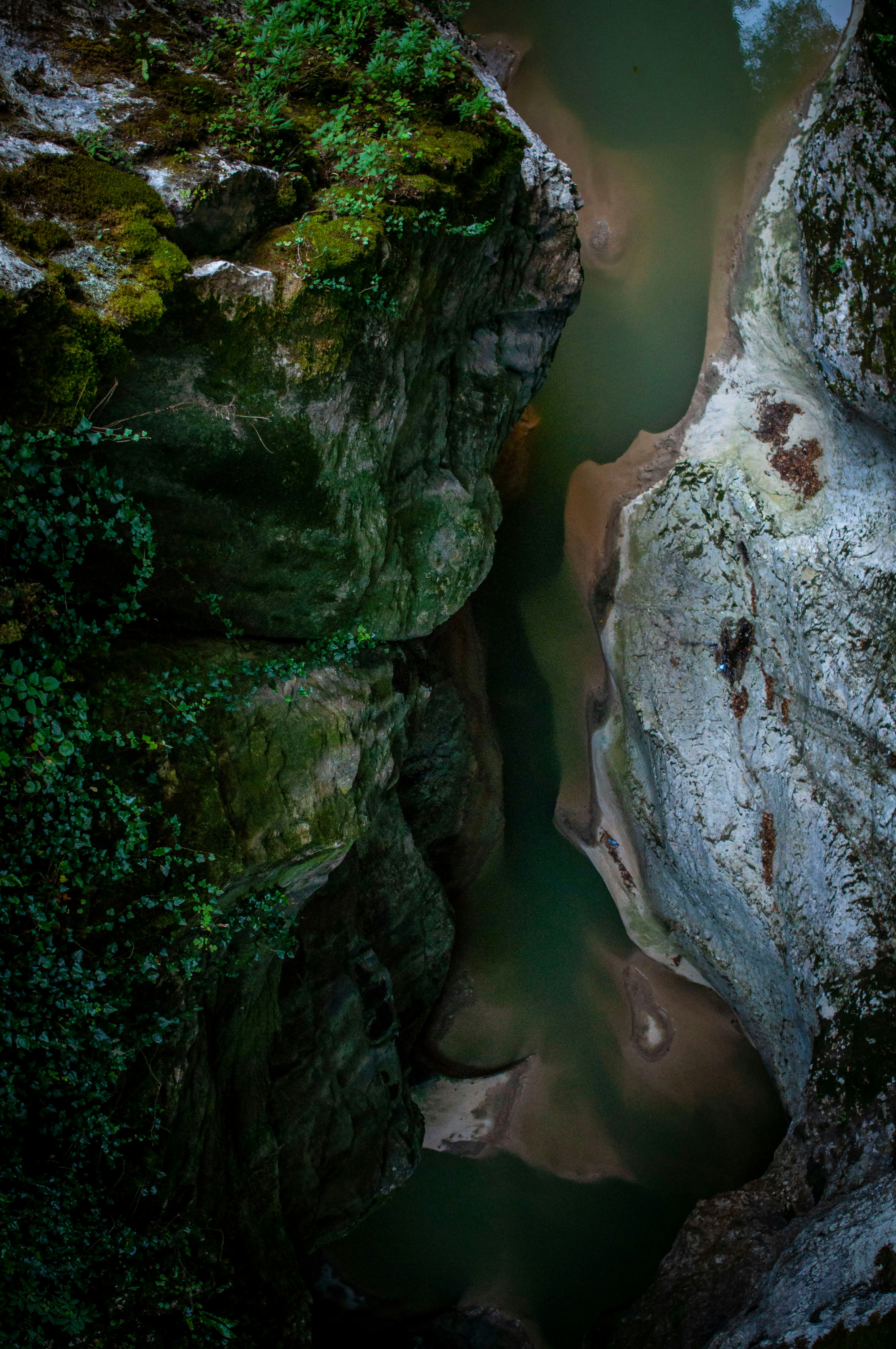 Narrow River Gorges: A Quiet Channel Between Stone and Moss
