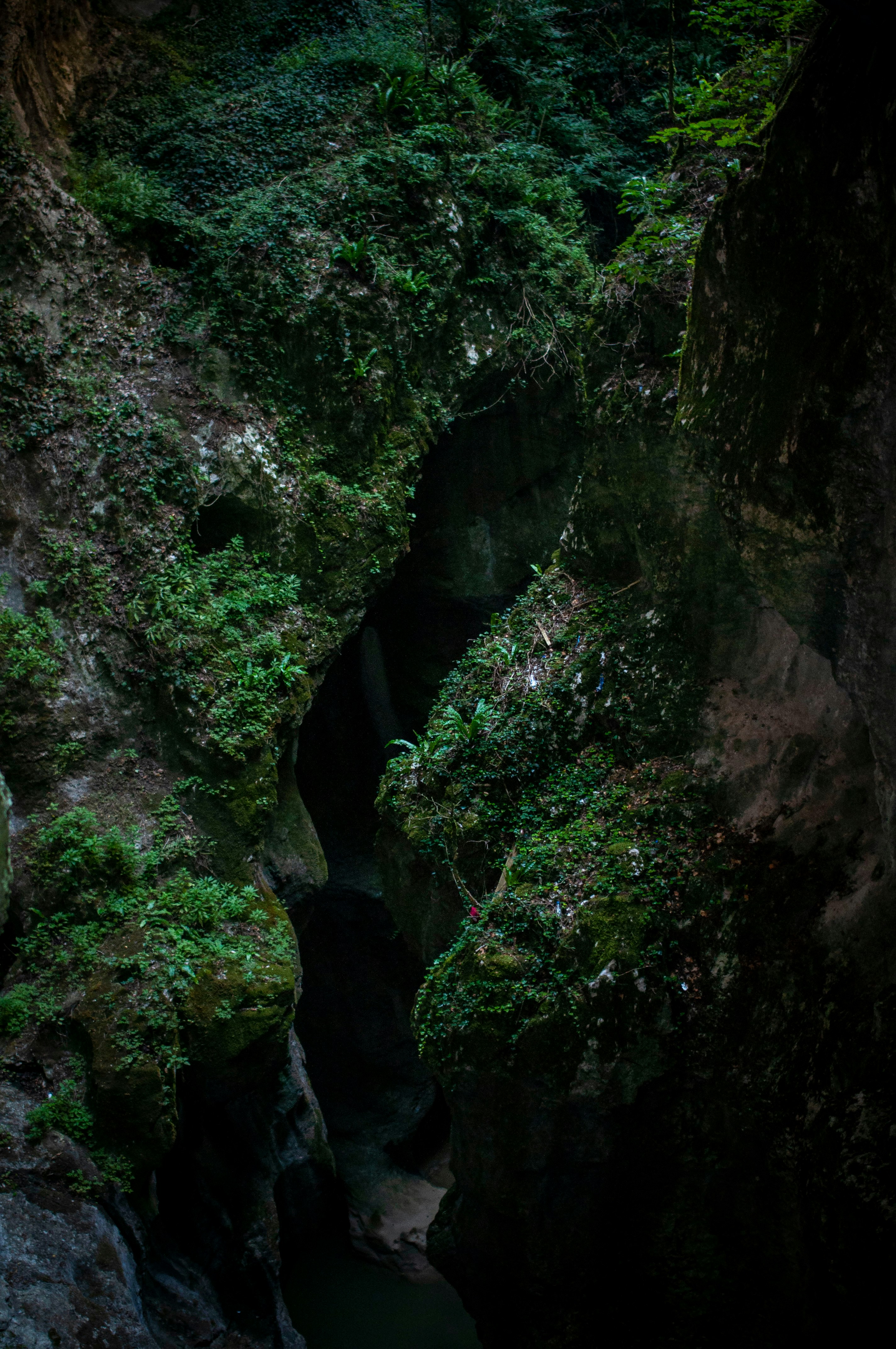 Shadowed Gorge: Moss-Crowned Crevasse Between Mossy Cliffs