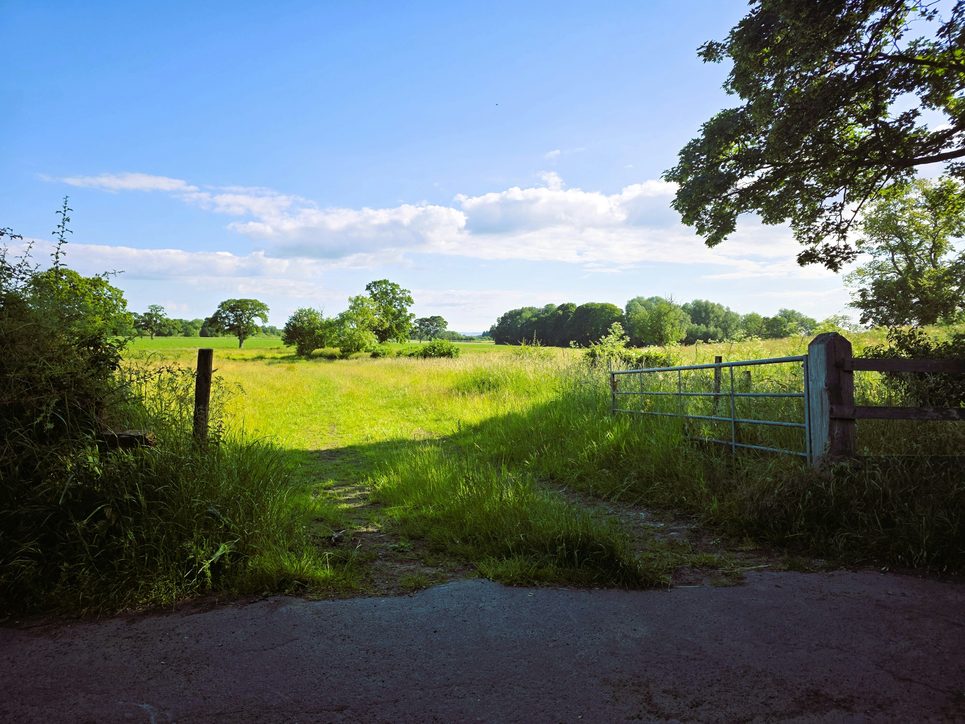 Open Gate to Sunlit Meadow