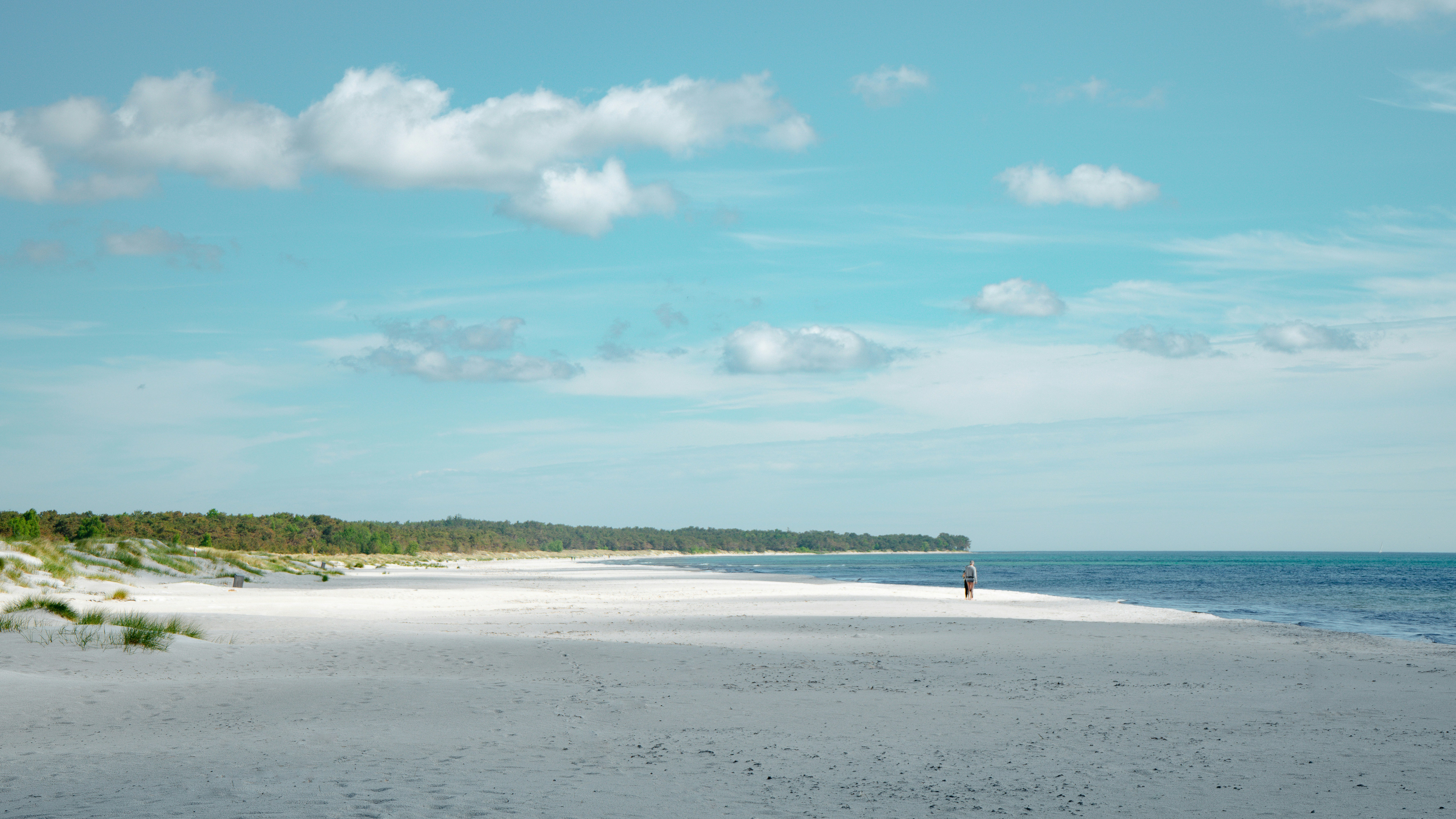 Quiet Horizon: A Lone Figure on the Expansive Seashore
