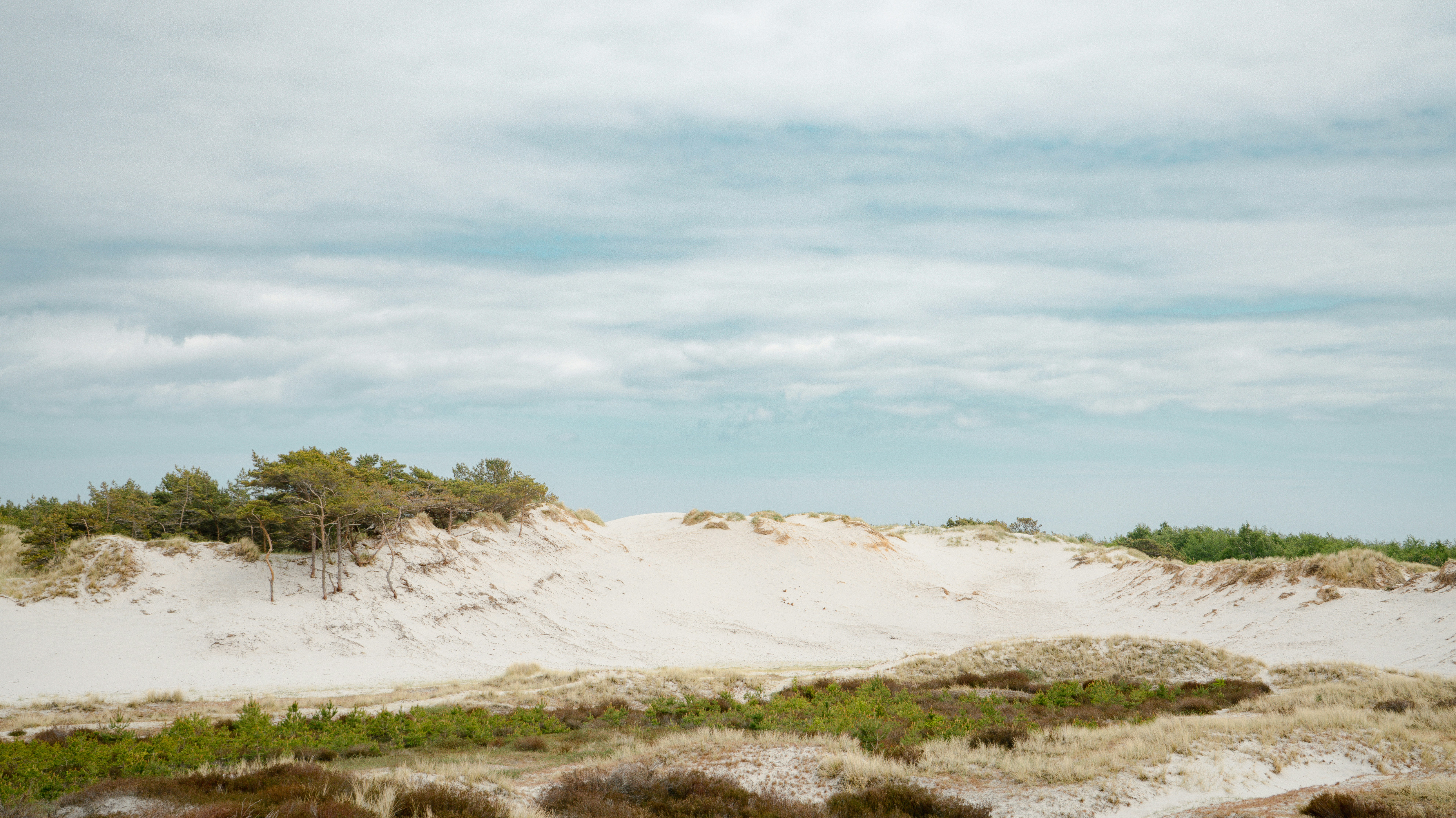 Deserted Dune Edge: Quiet Horizon Over Sparse Greens