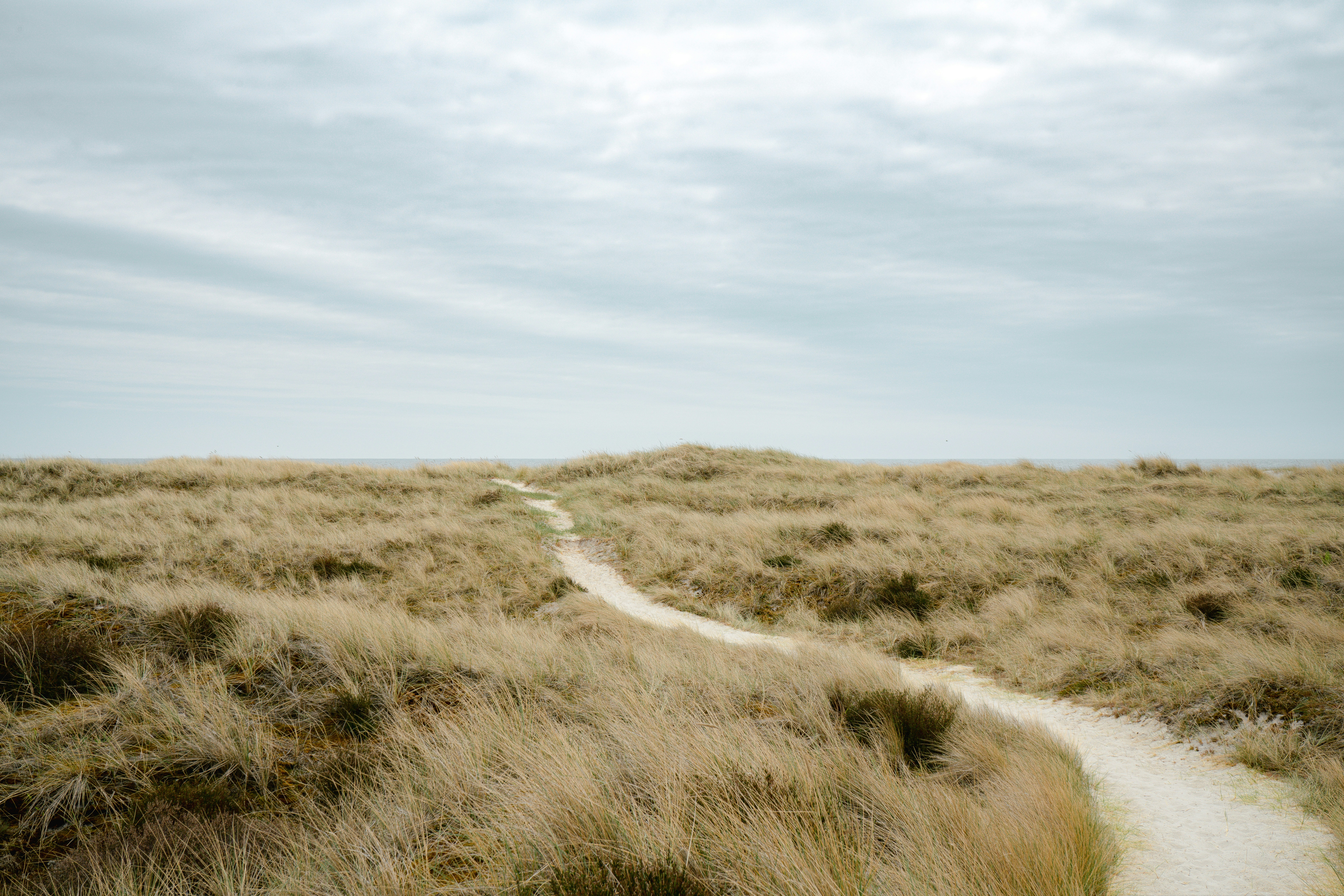 Desertile Path Stretching Toward a Quiet Horizon