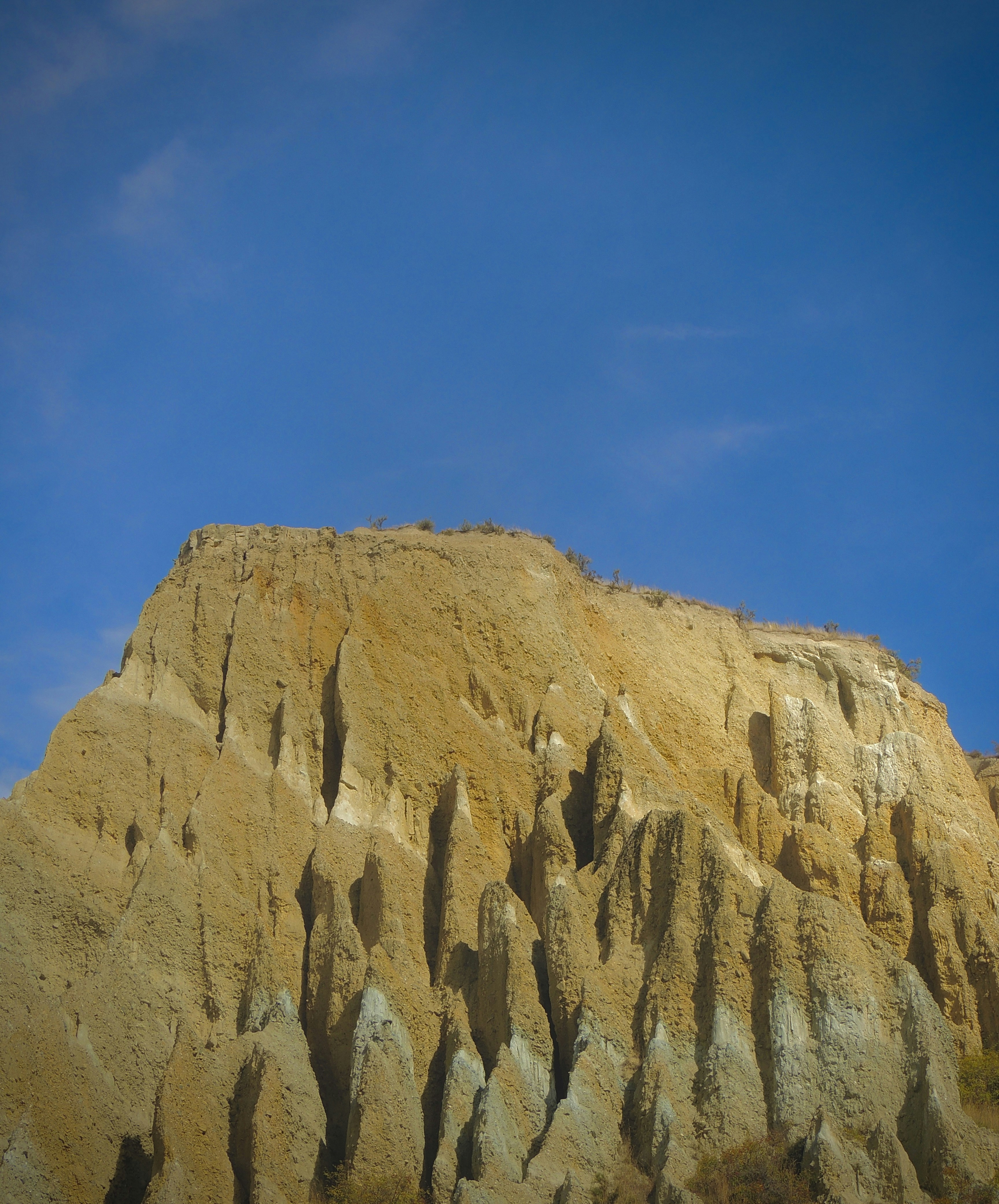 Golden Ridge Under a Clear Sky