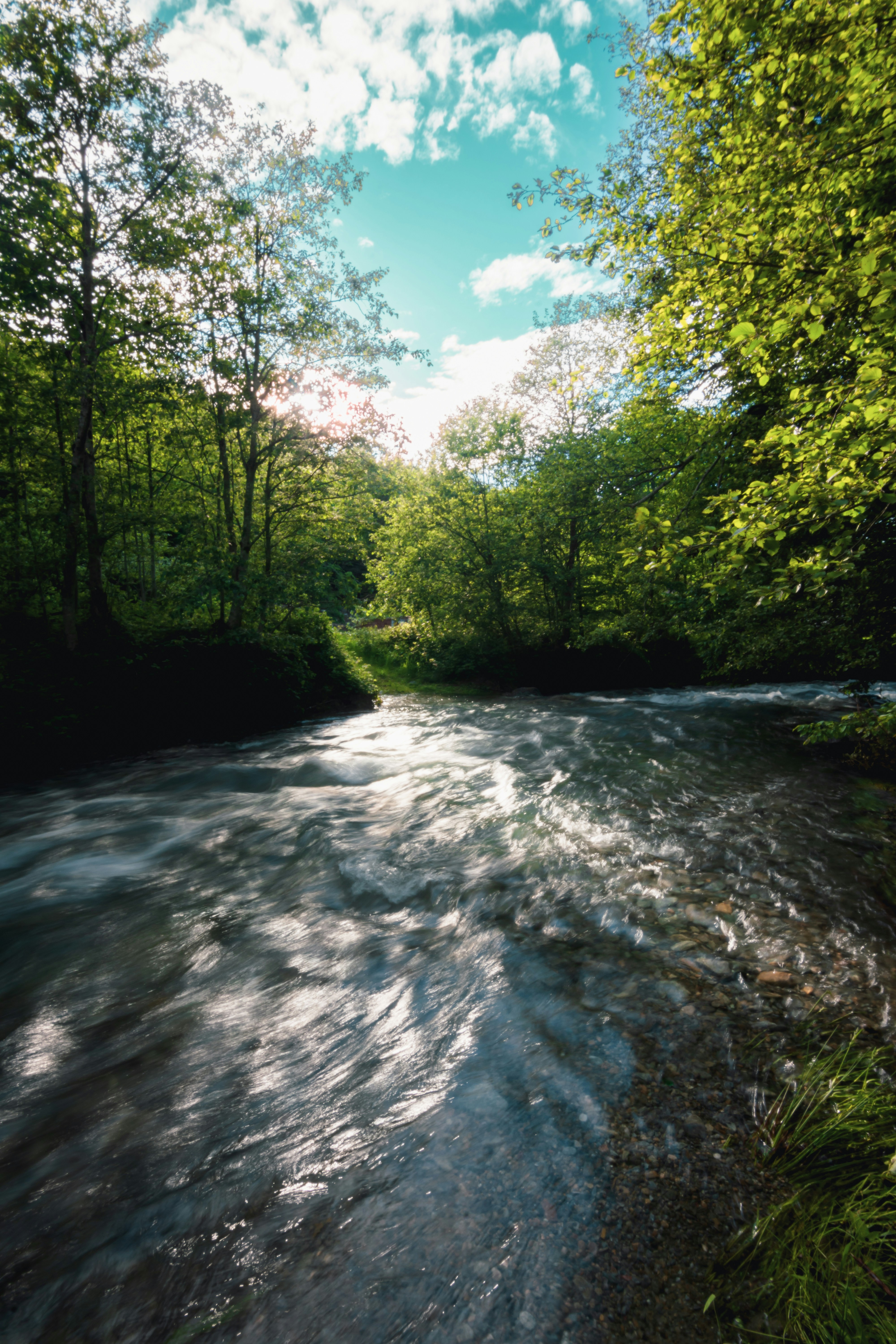 River Veil Through the Green Corridor
