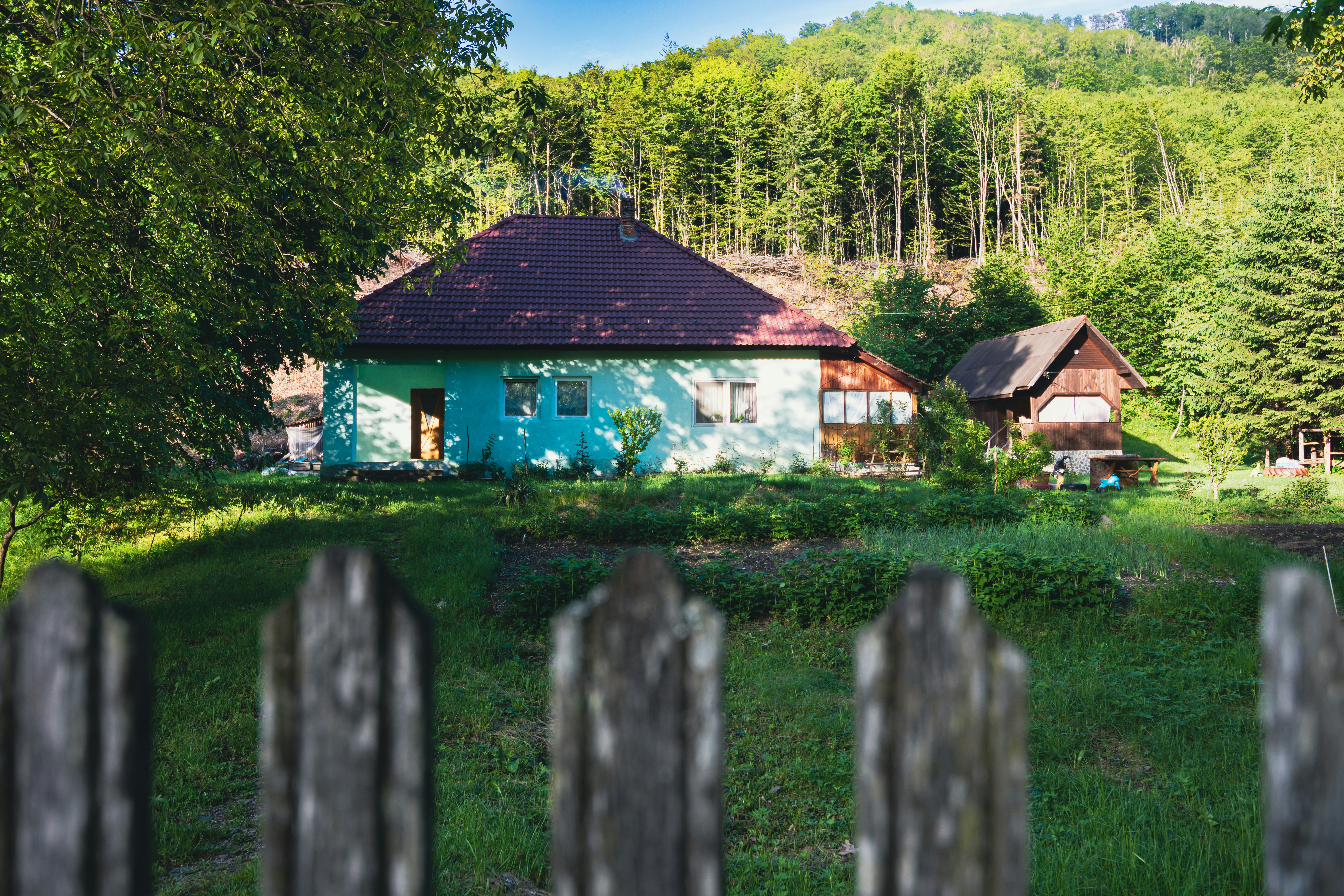 Pastoral House Among Tall Pines