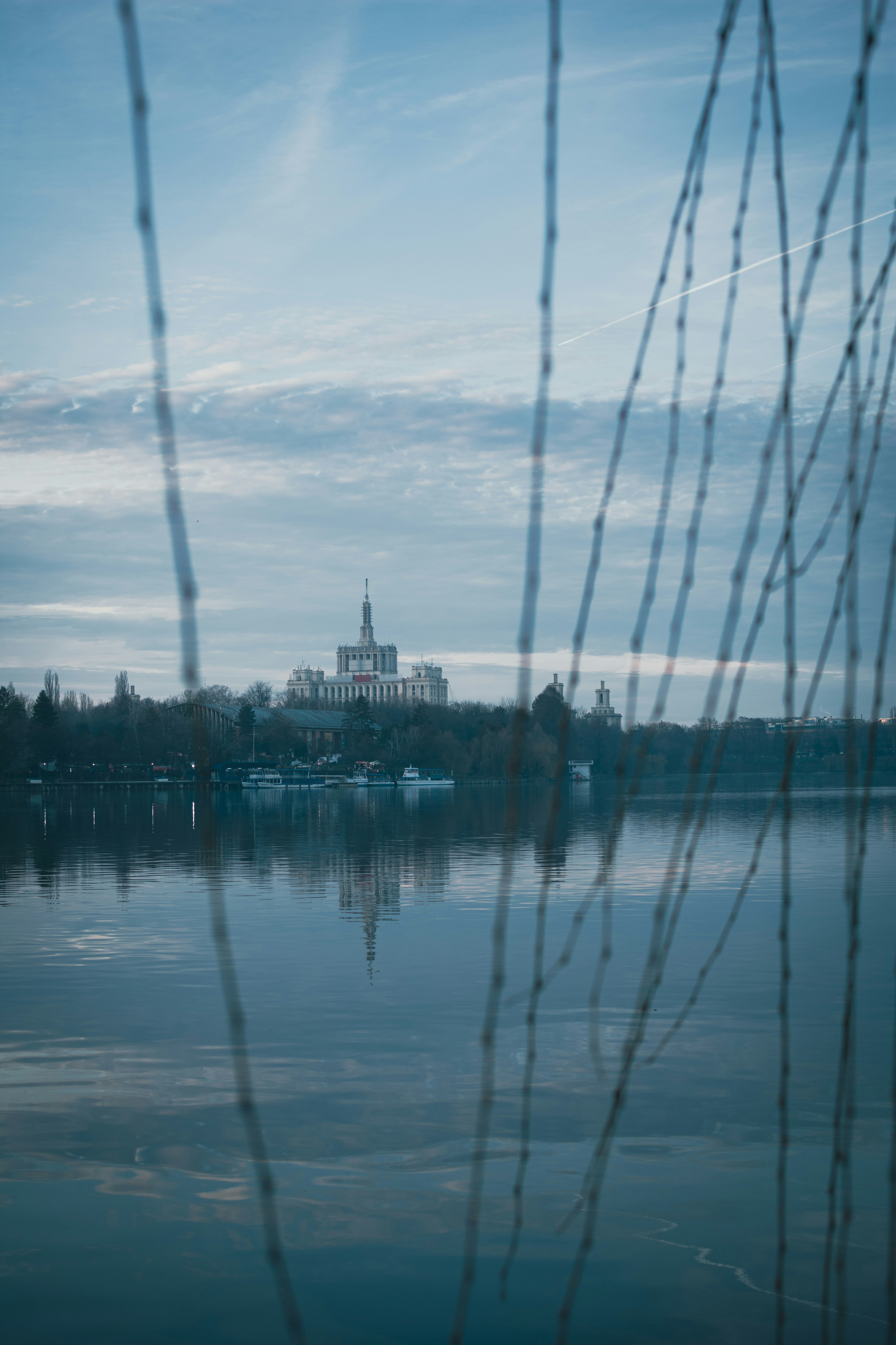 City Skyline Framed by Weaving Waterfront Cables