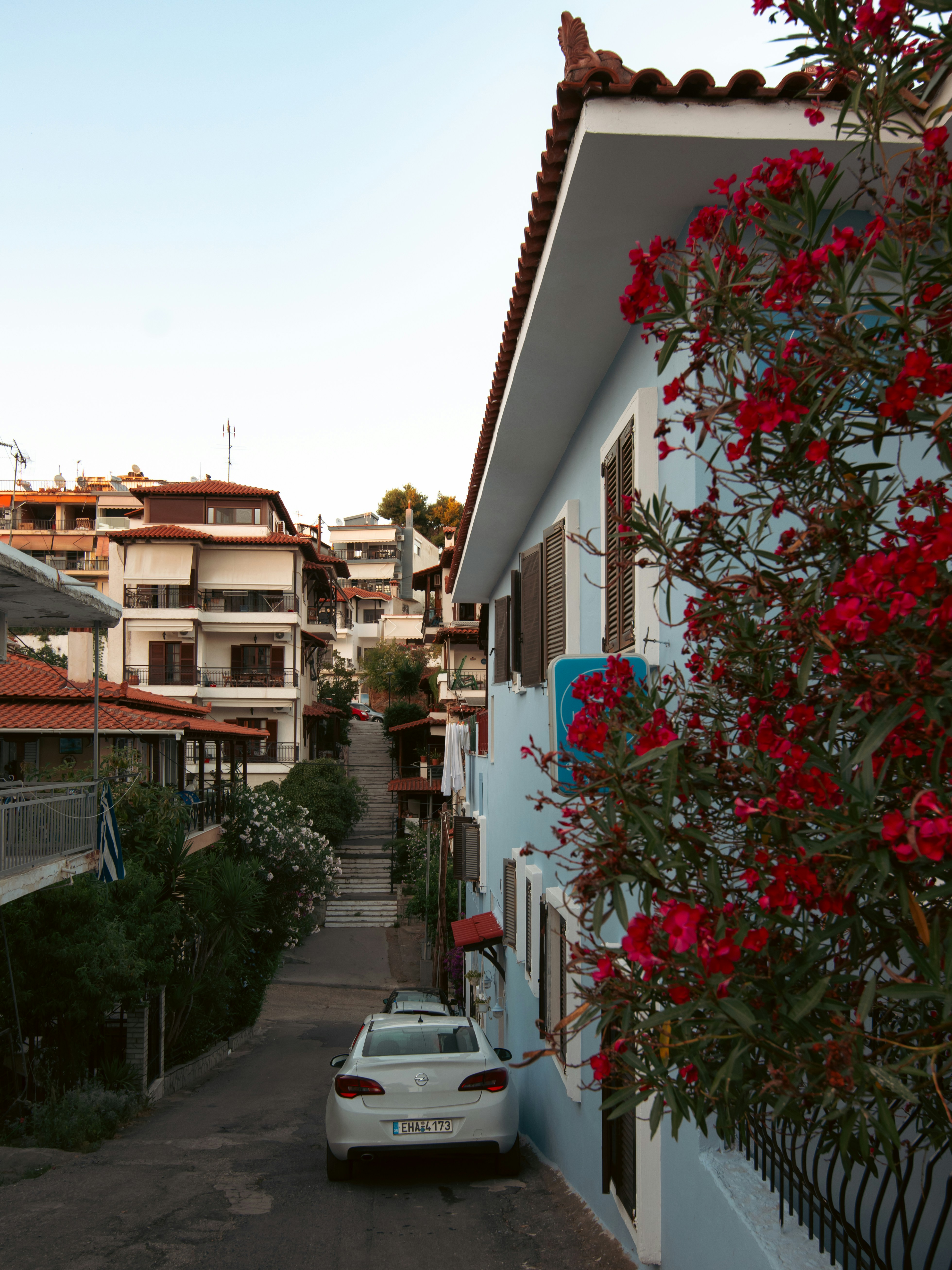 Sunlit Lane Between Painted Homes and Bougainvillea