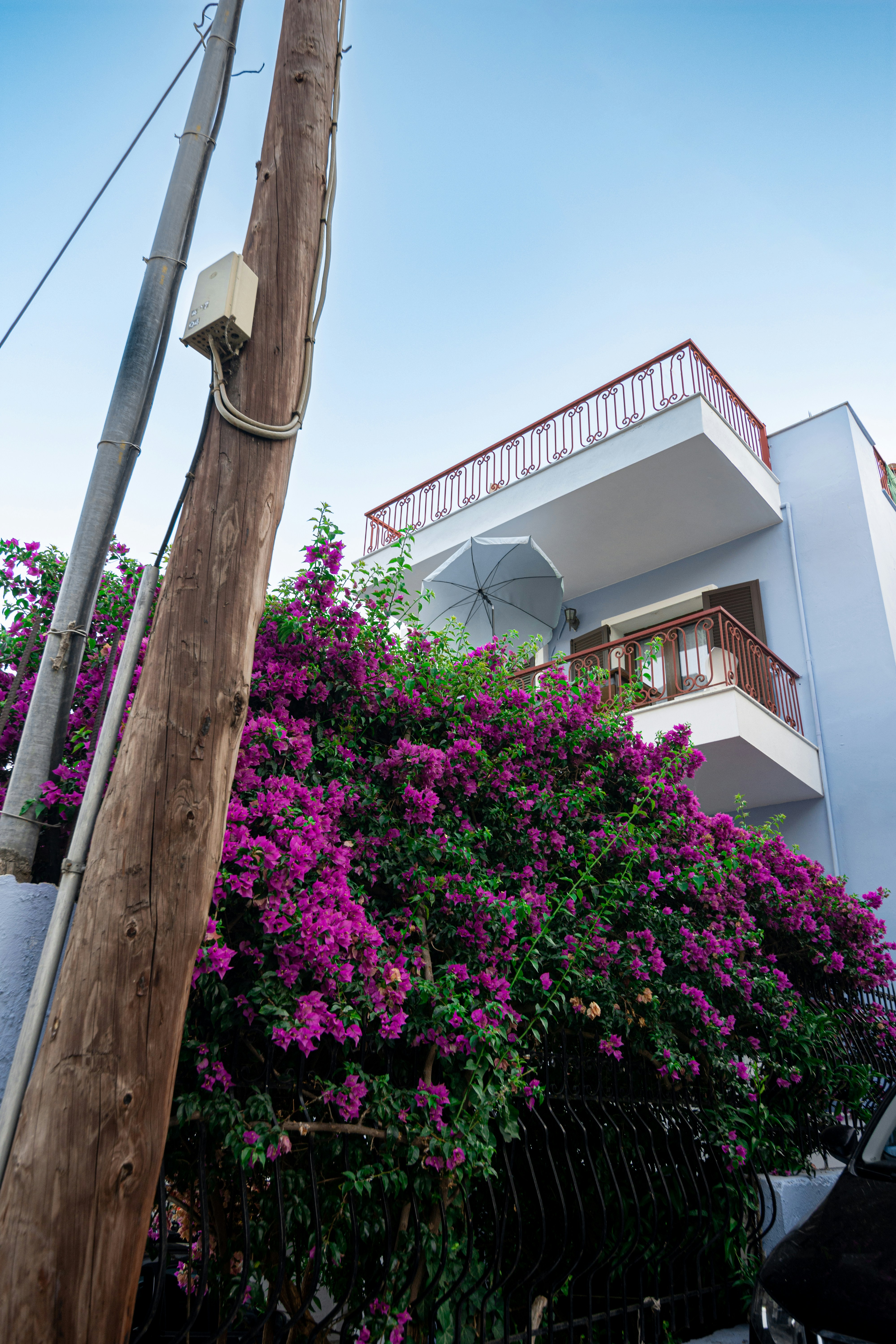 Bougainvillea Surge Against a Blue Terrace and Power Pole