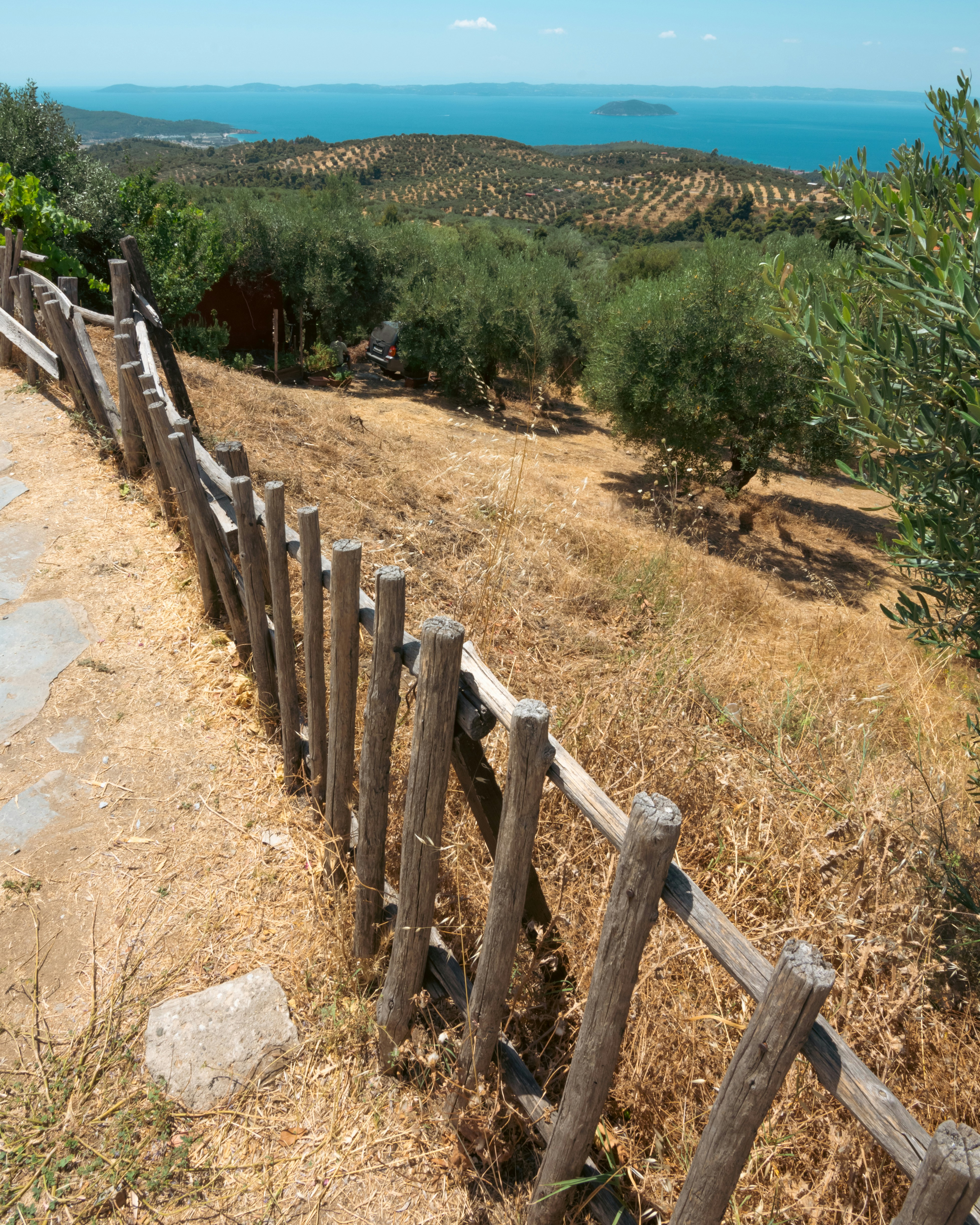Rugged Path through Olive Hills to a Sea of Blue
