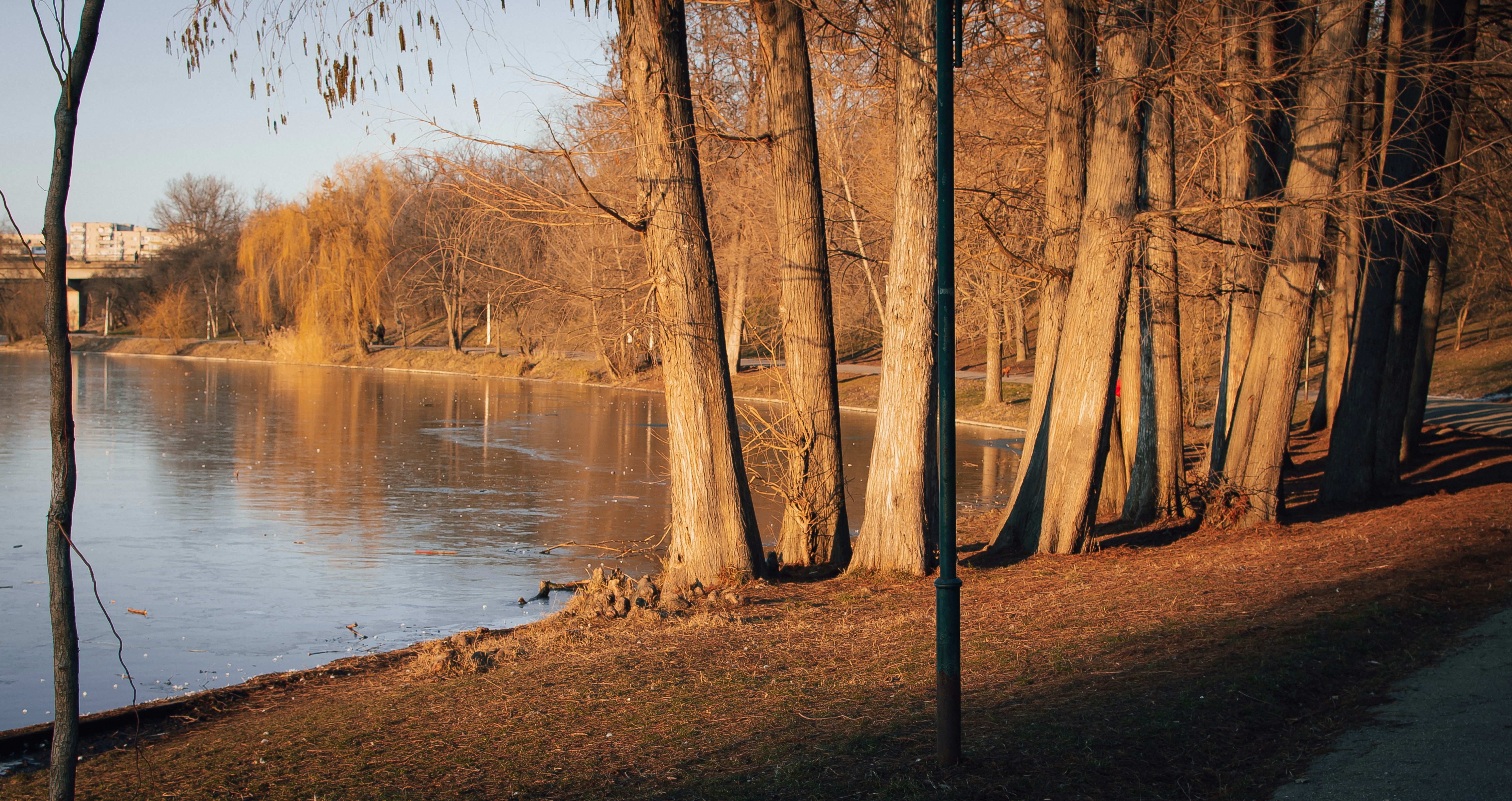 Sunlit Riverside Park: Trees, Path, and Mirror-like Lake