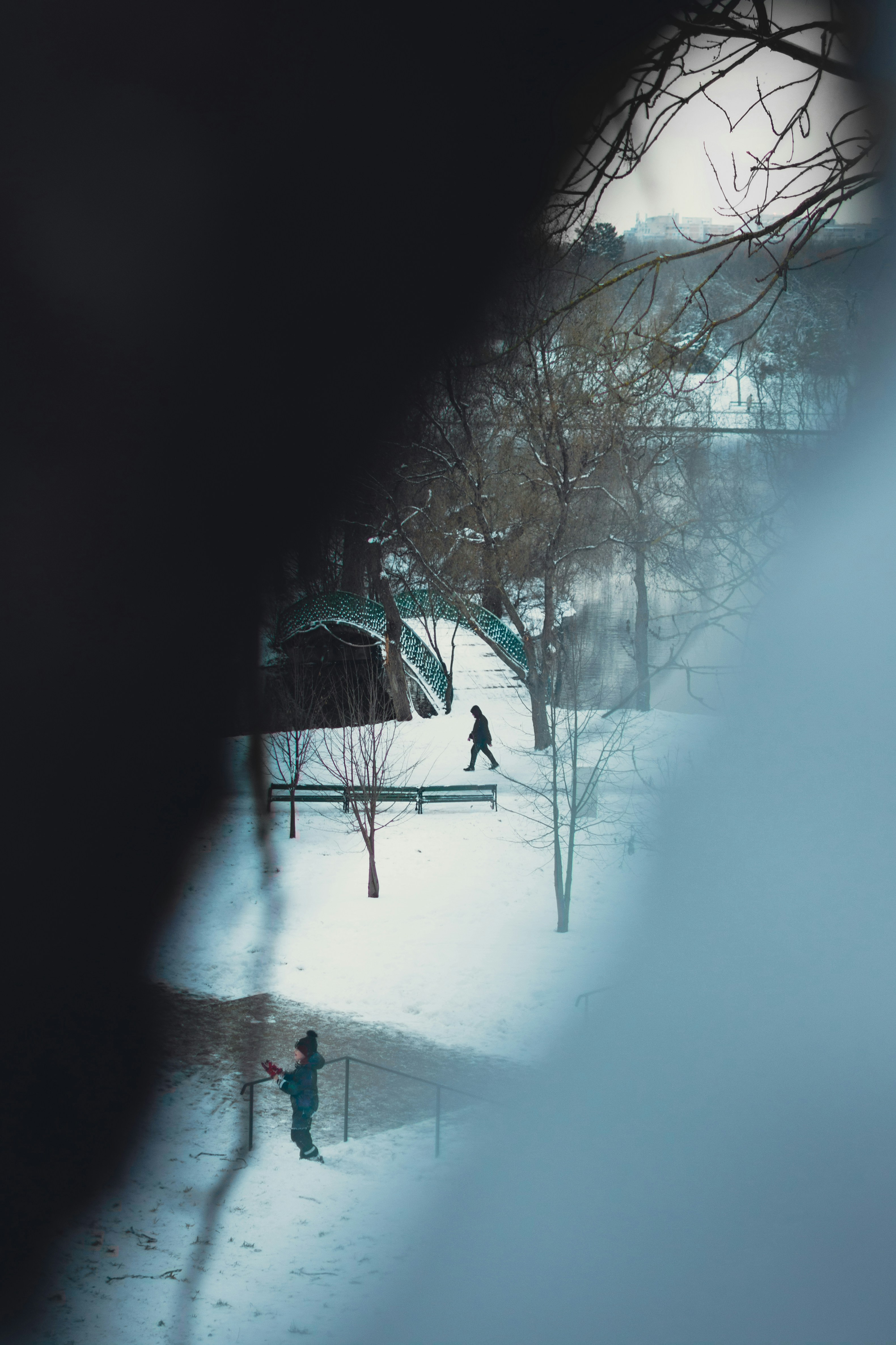 Snowbound Playground: A lone figure traces a quiet path under bare trees
