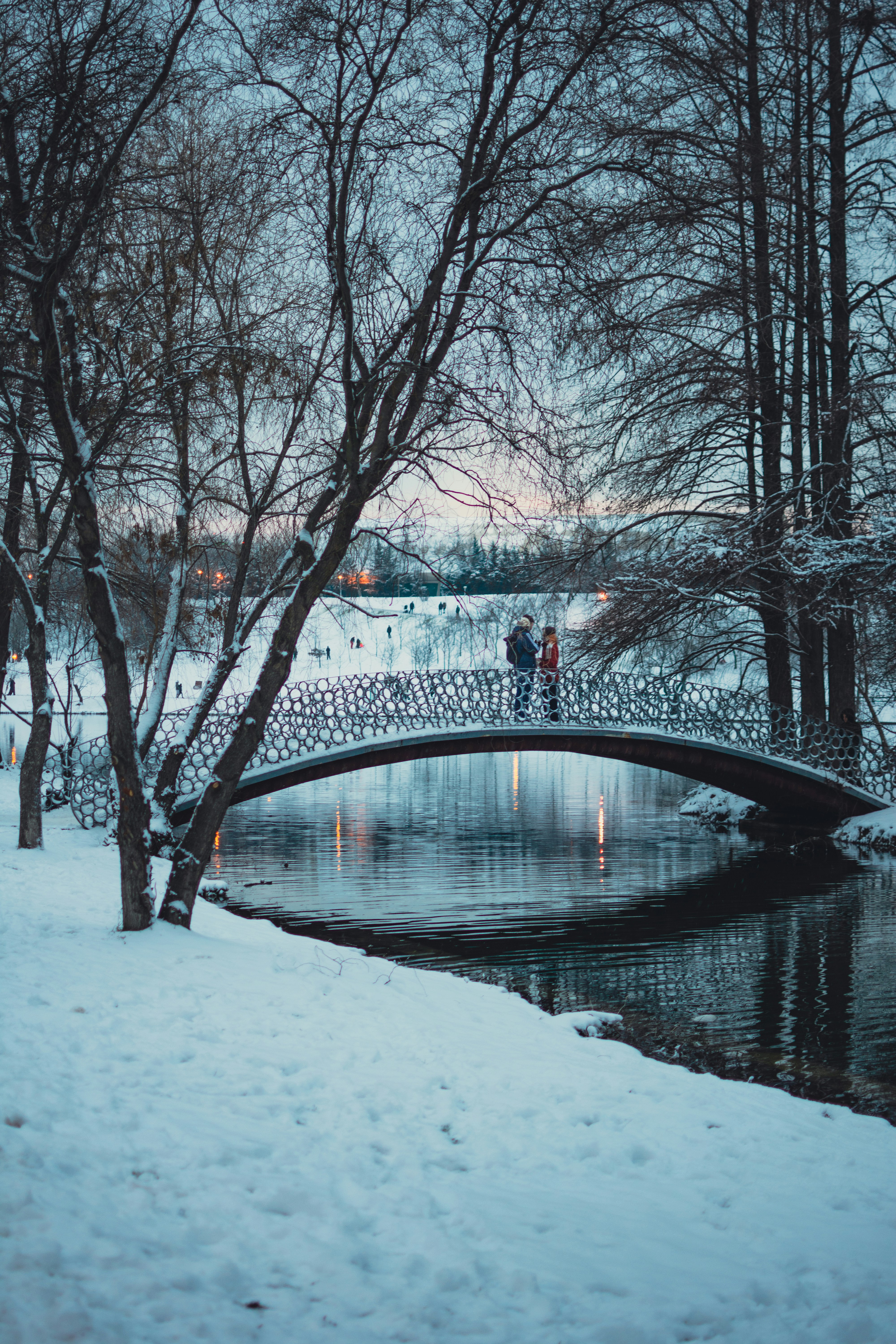 Quiet Winter Bridge: A Couple Graces the Snowy River Path