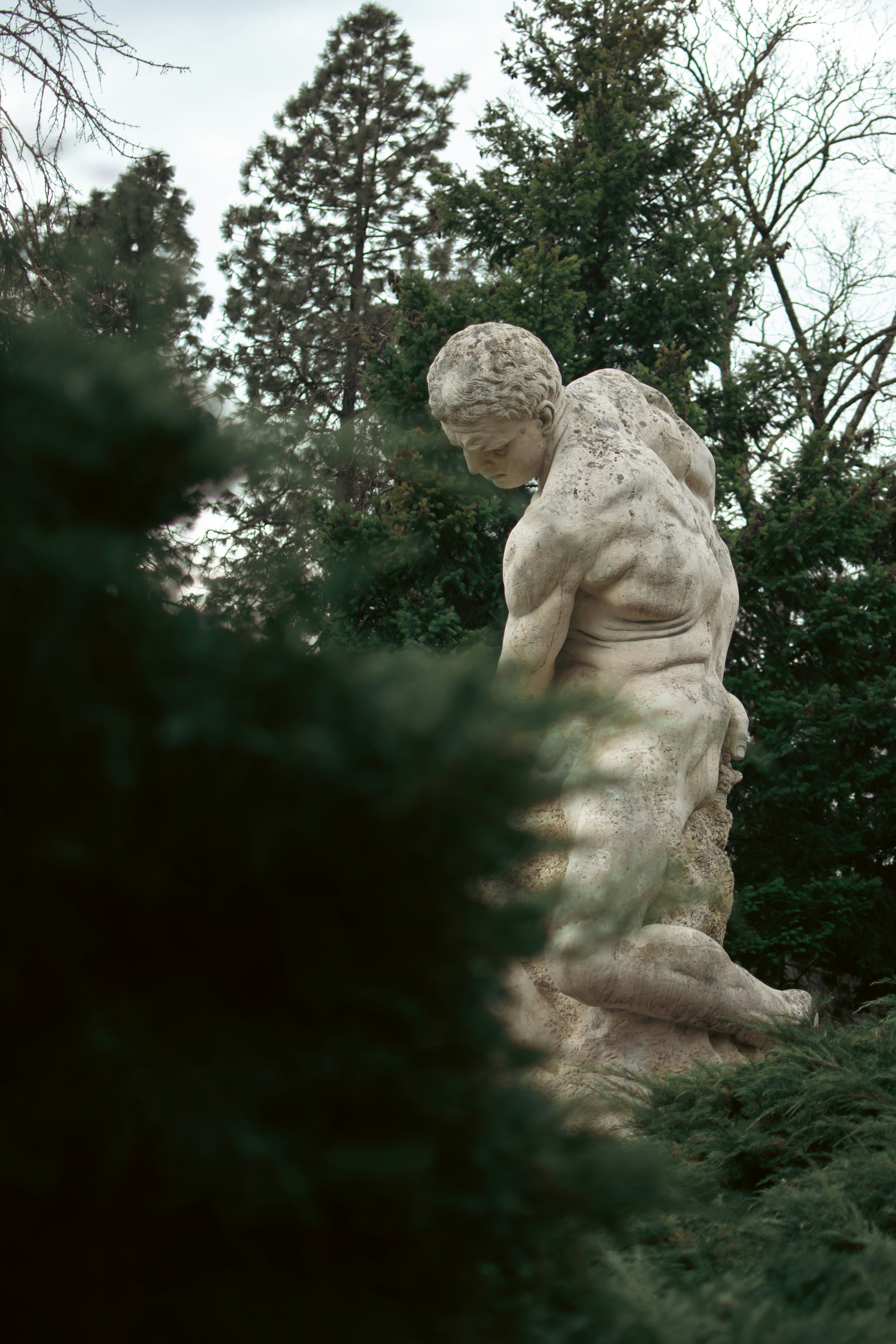Weathered sculpture half-hidden by evergreens in a quiet garden