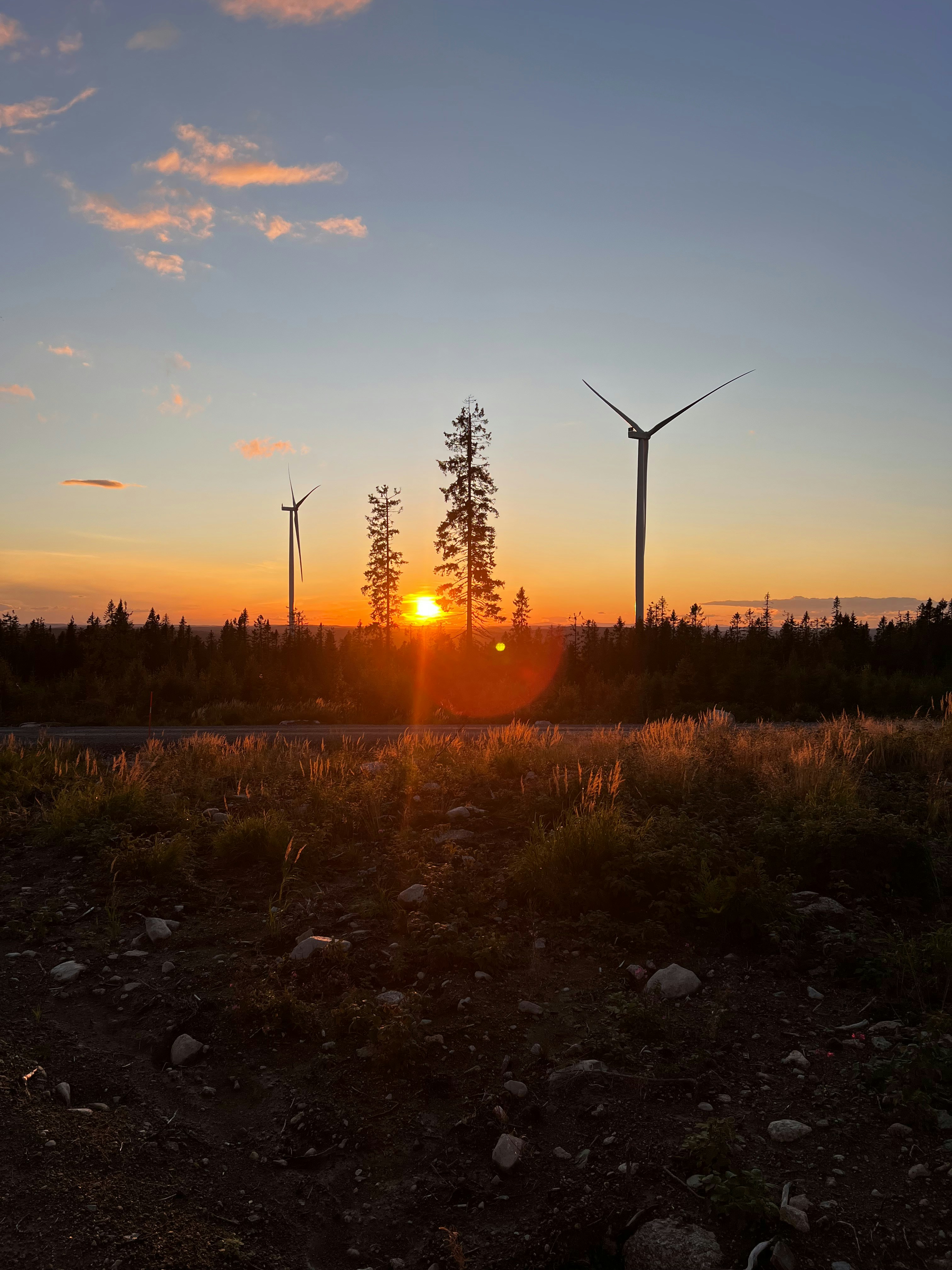 Sunlit Wind Farm at Dusk: Silhouettes and Quiet Horizon