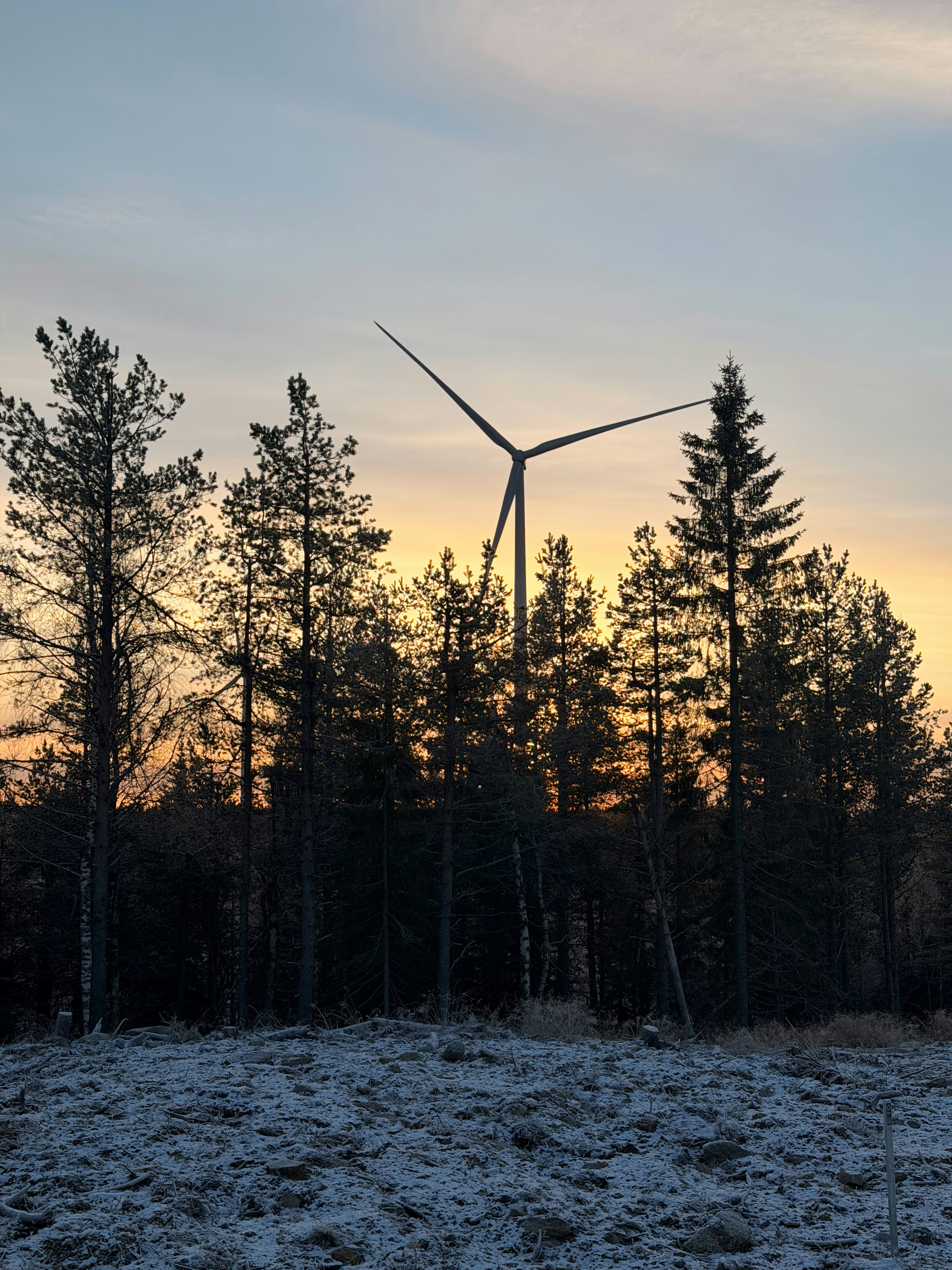 Windmill Silhouette at Sunset over Frosted Pines