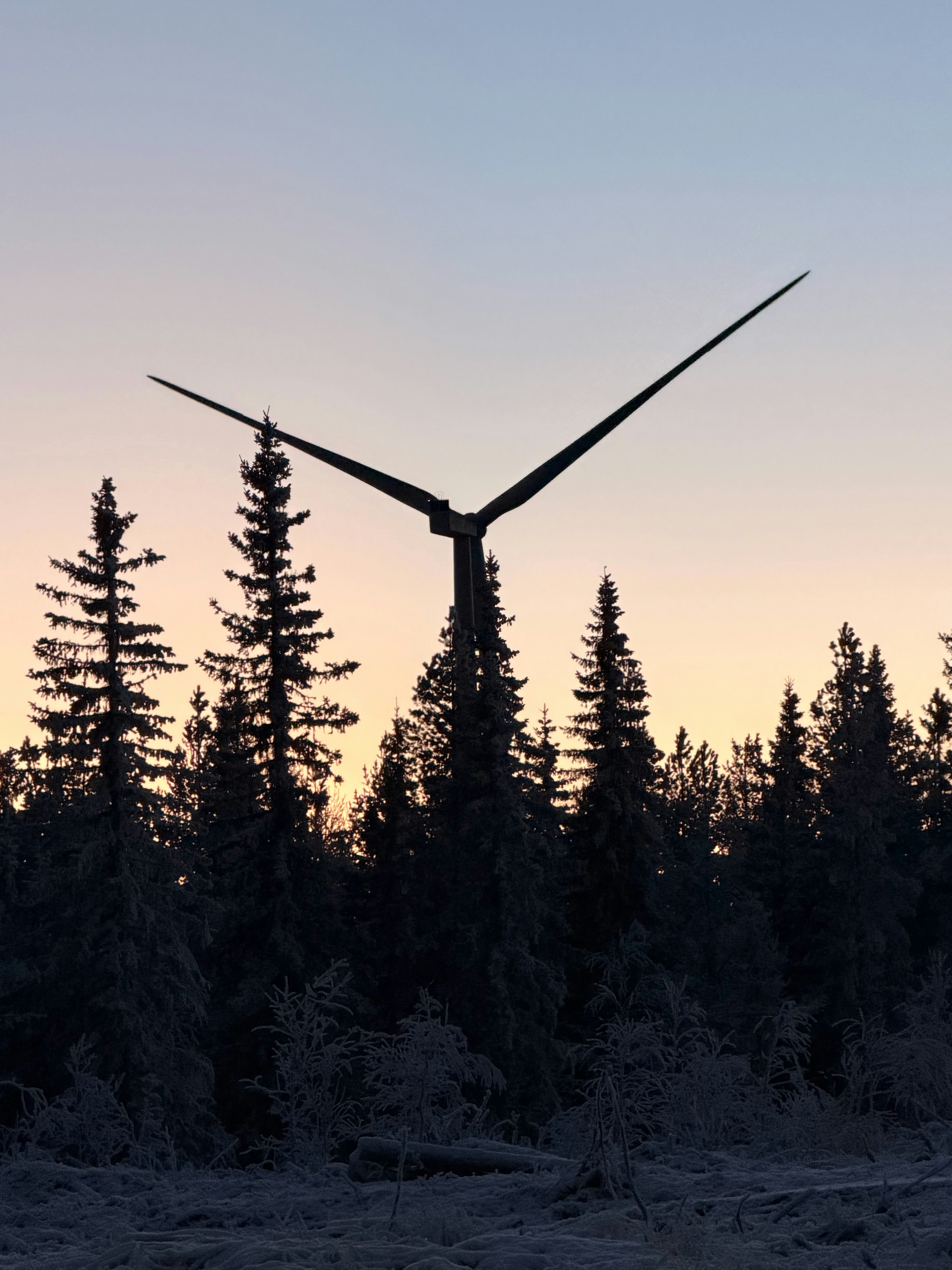Wind Turbine Silhouette at Dusk Among Snow-Furred Pines