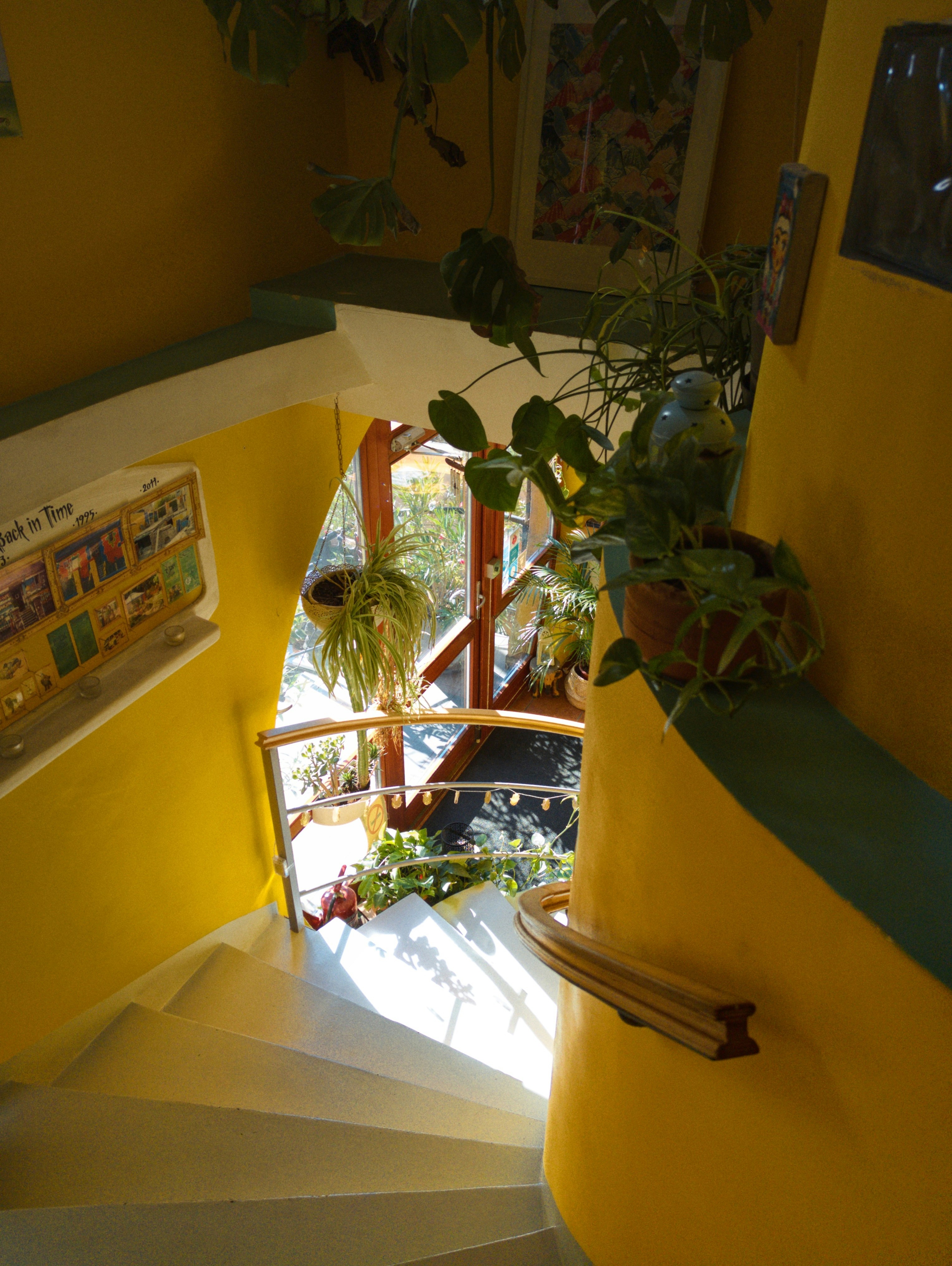 Vibrant yellow staircase bathed in warm light with potted plants along the railing, leading down to a sunlit doorway. A lively interior scene emphasizing color and depth.