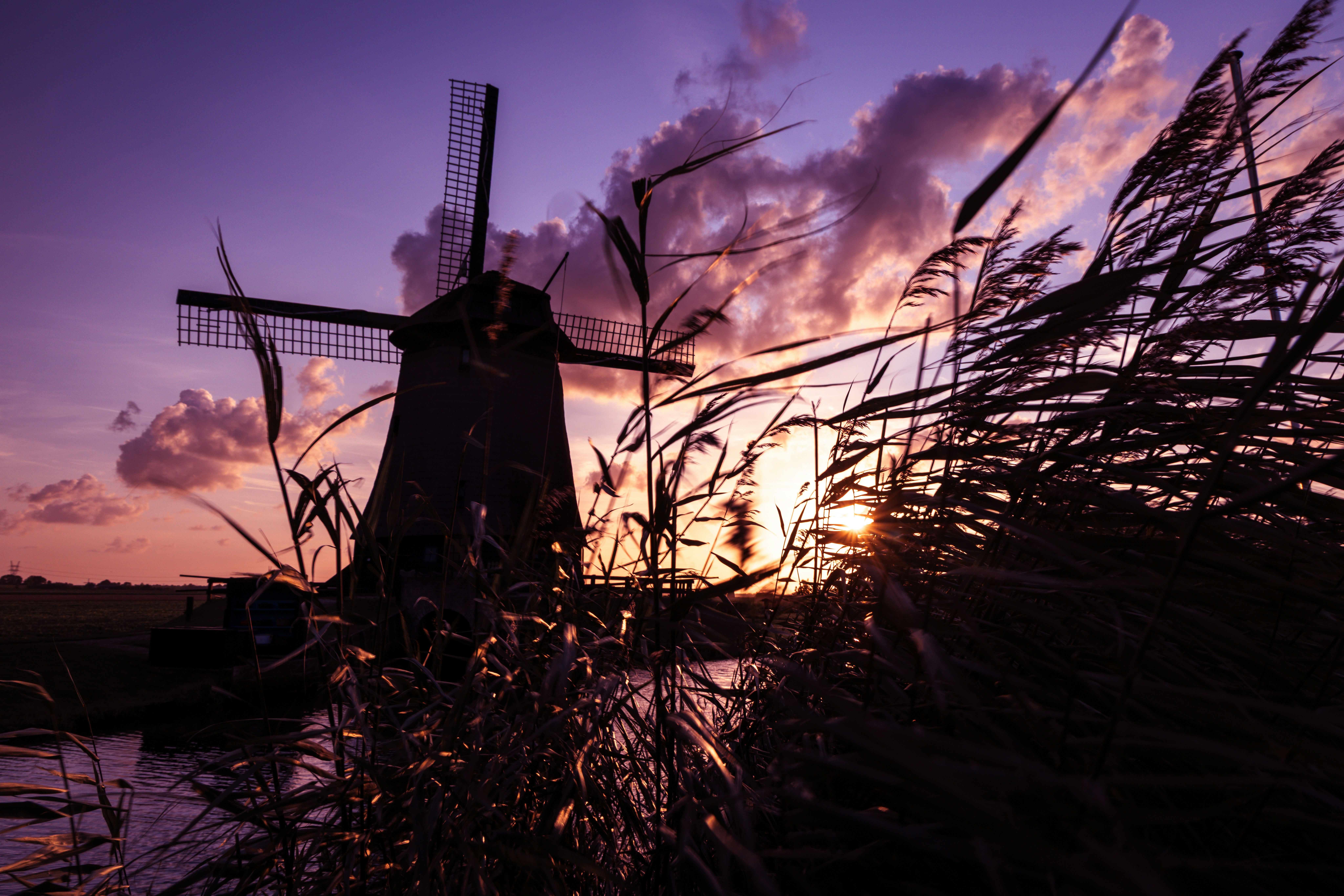 Silhouette of a Dutch Windmill at Sunset Behind Reeds