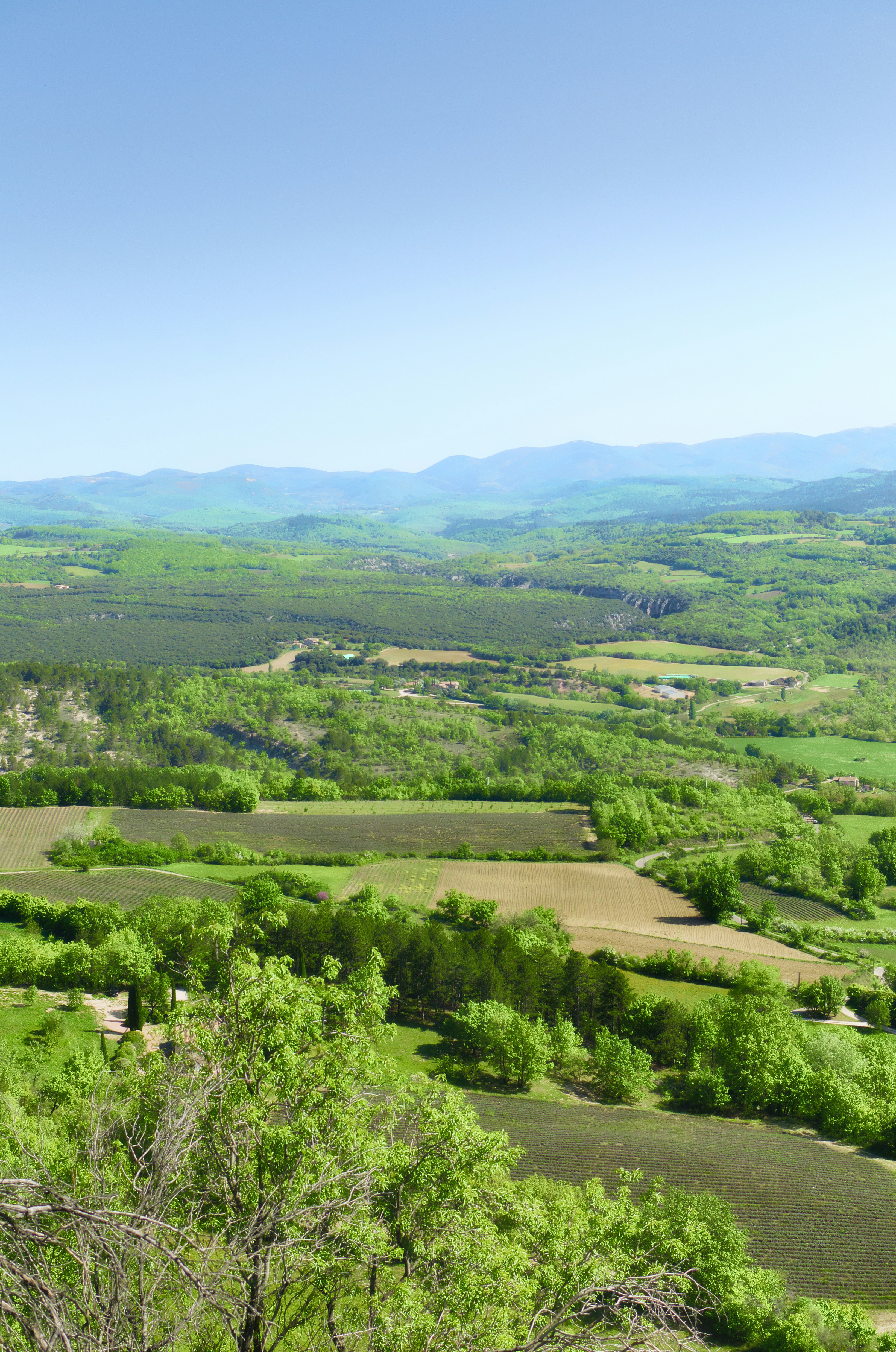 Ridges of Green: A Sunlit Valley Spreads Across the Hills