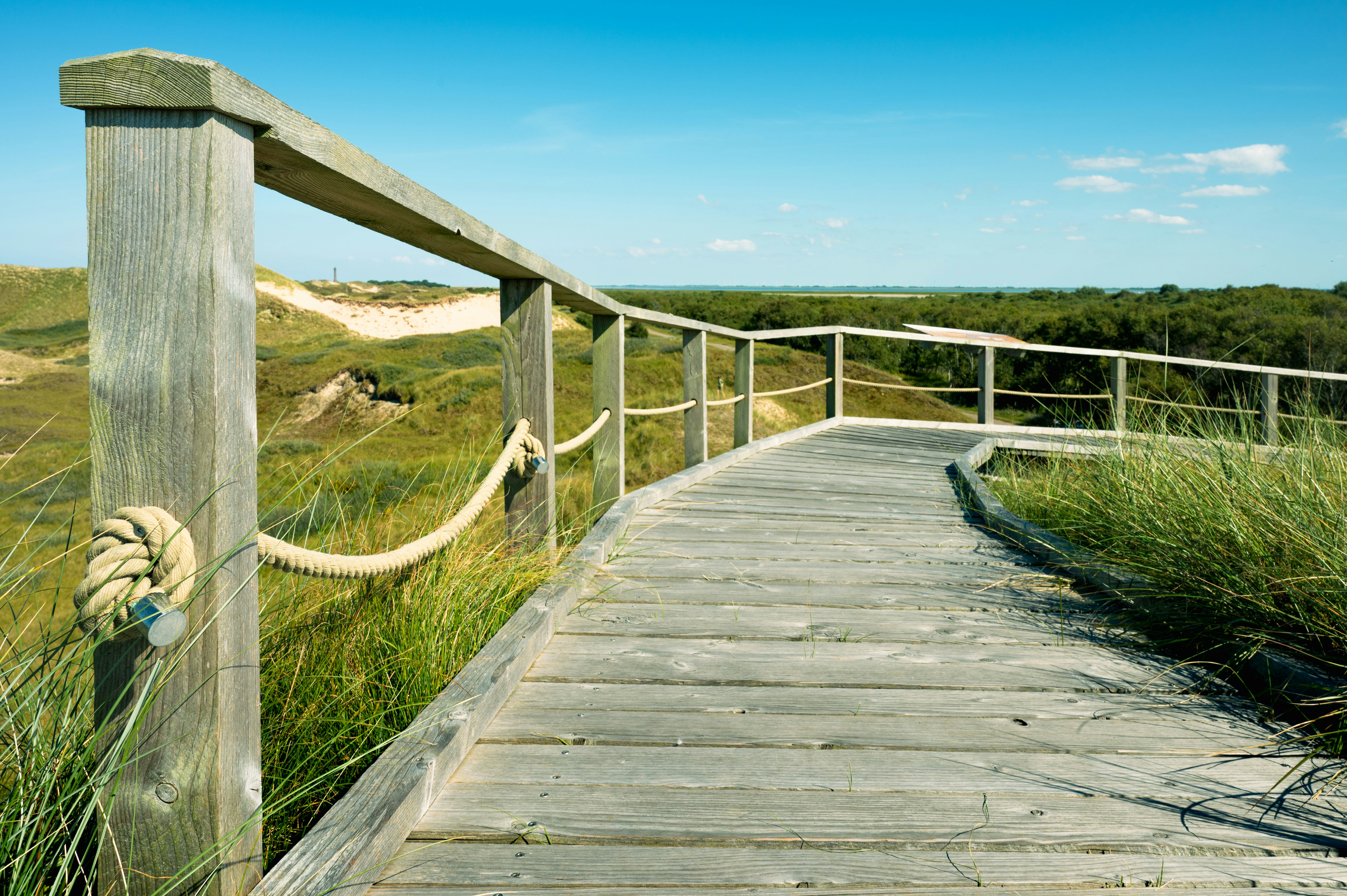 Sunlit Boardwalk to the Dune Horizon