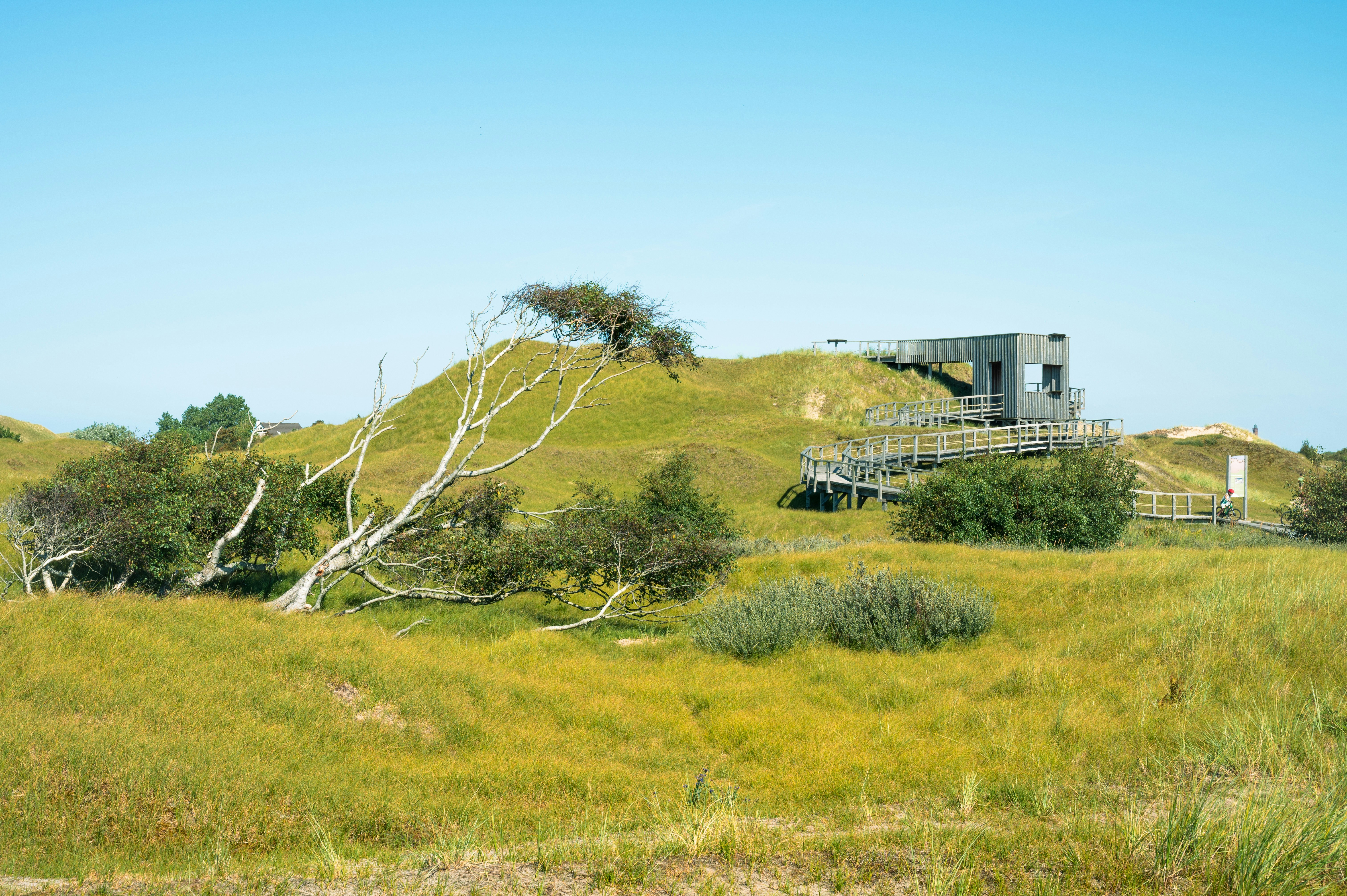 Modern viewing platform perched on rolling dunes