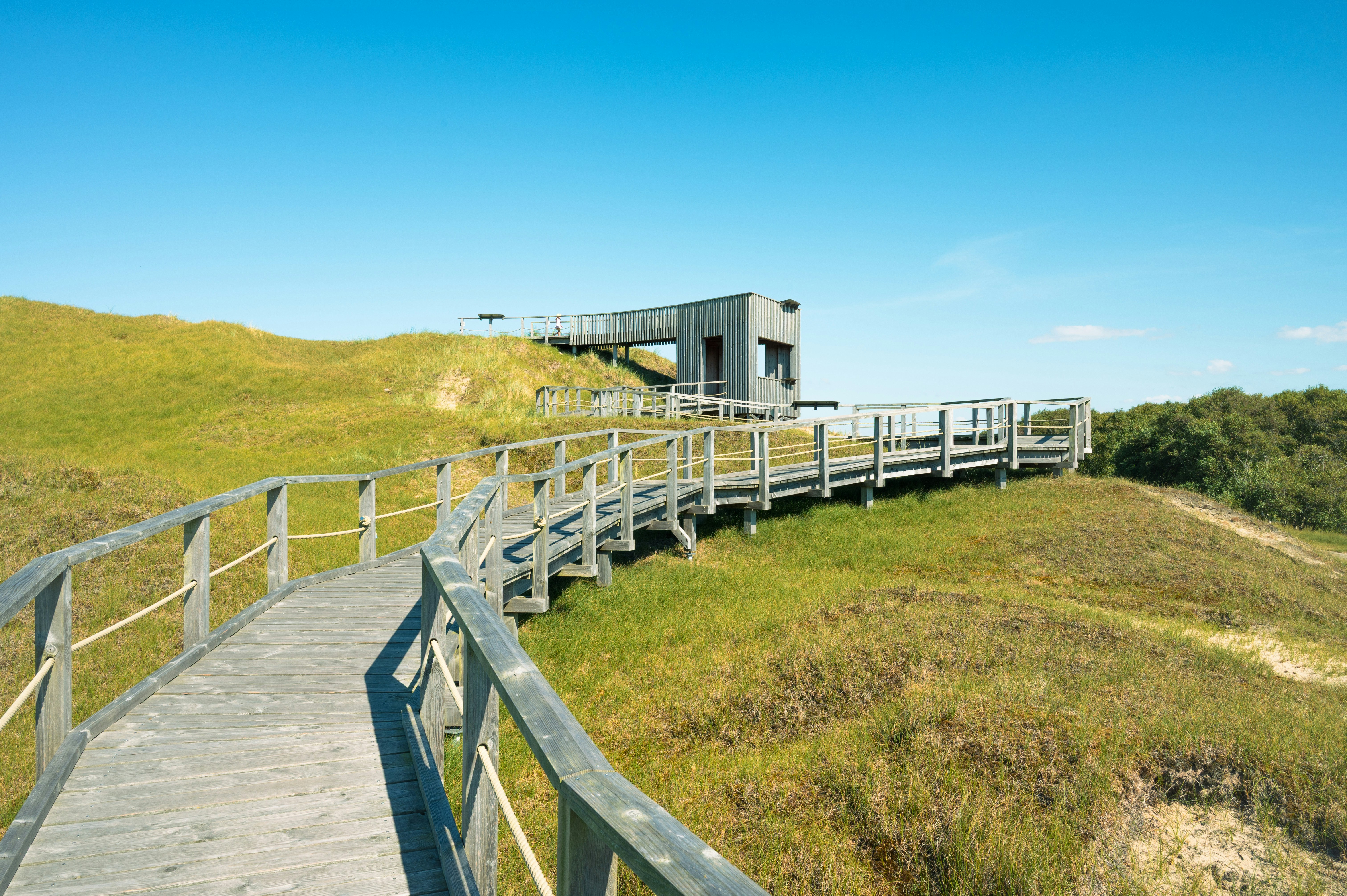 Boardwalk to the Hilltop Structure