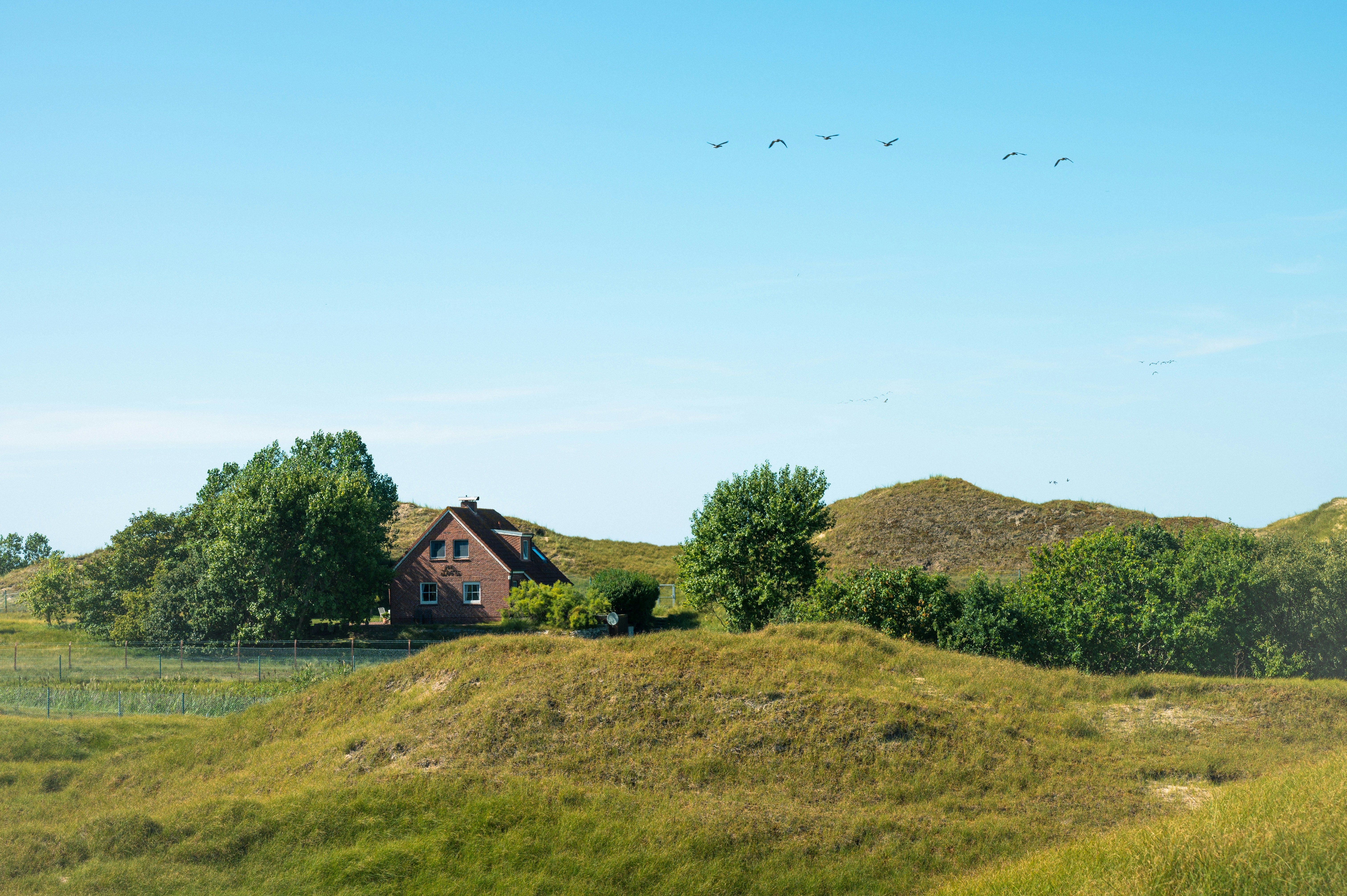 Pastoral Haven: A Red Brick House Nestled Among Rolling Mables