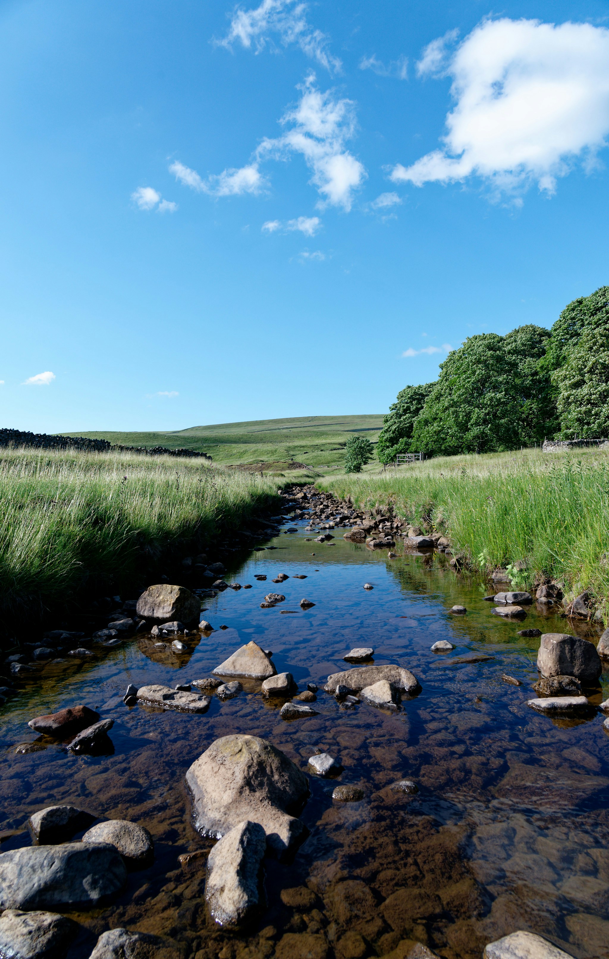 Clear stream winds through a grassy valley, stones scattered in shallow water with a cluster of trees on the right and a bright blue sky above.