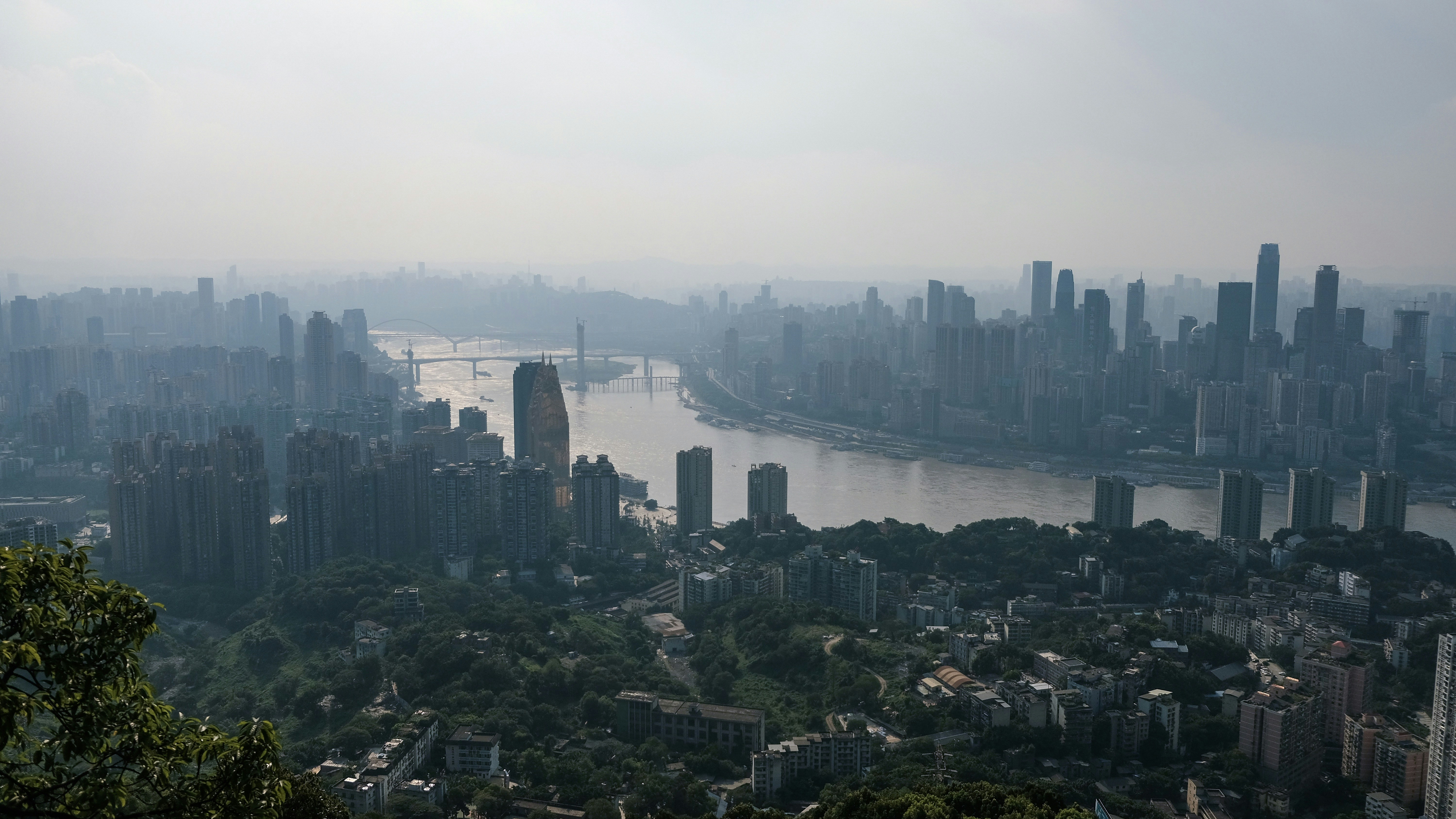 High-rise Mirage: A Panoramic Urban Tangle with River Ribbon