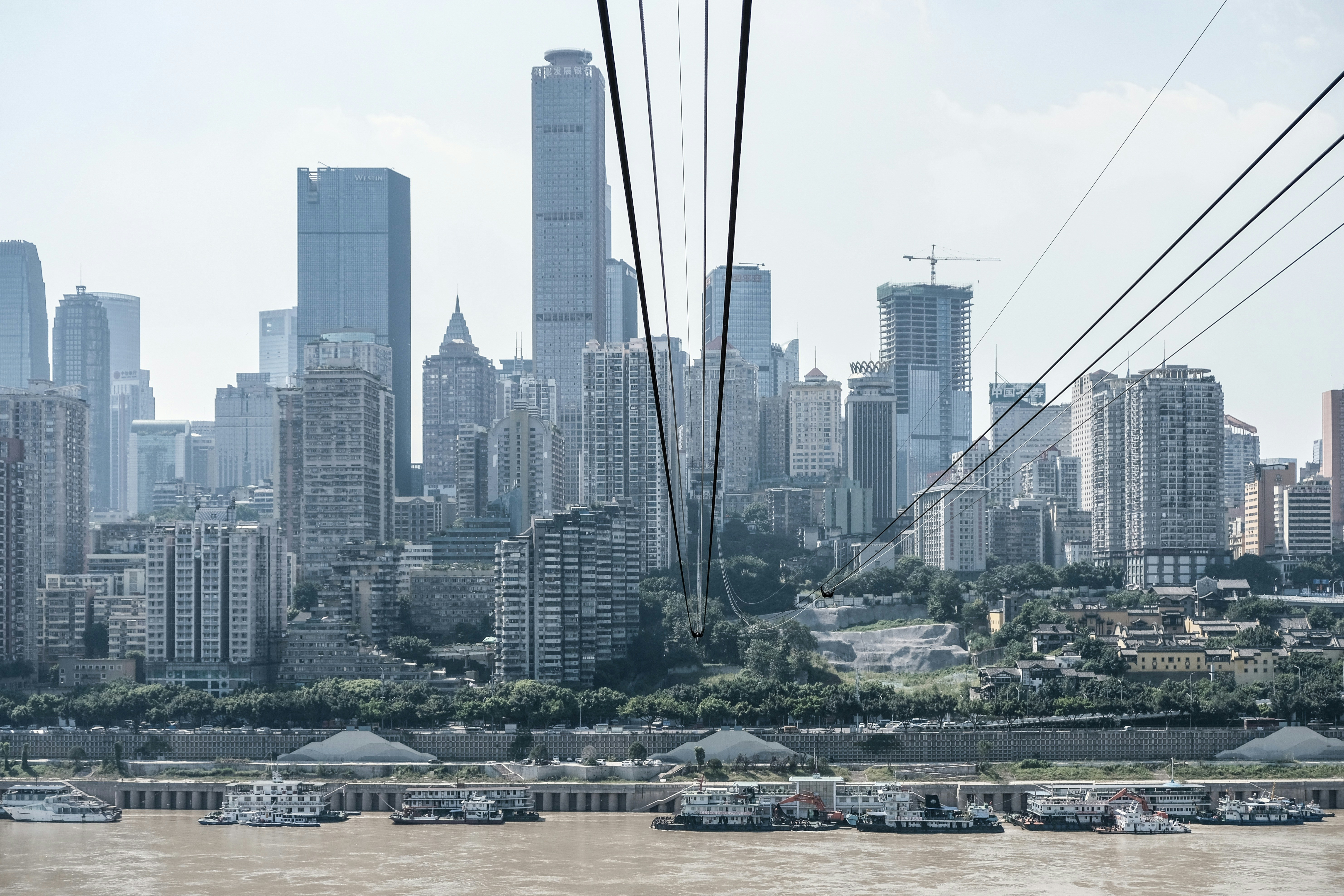 Rising Skyline Framed by Cable Strands Over the River