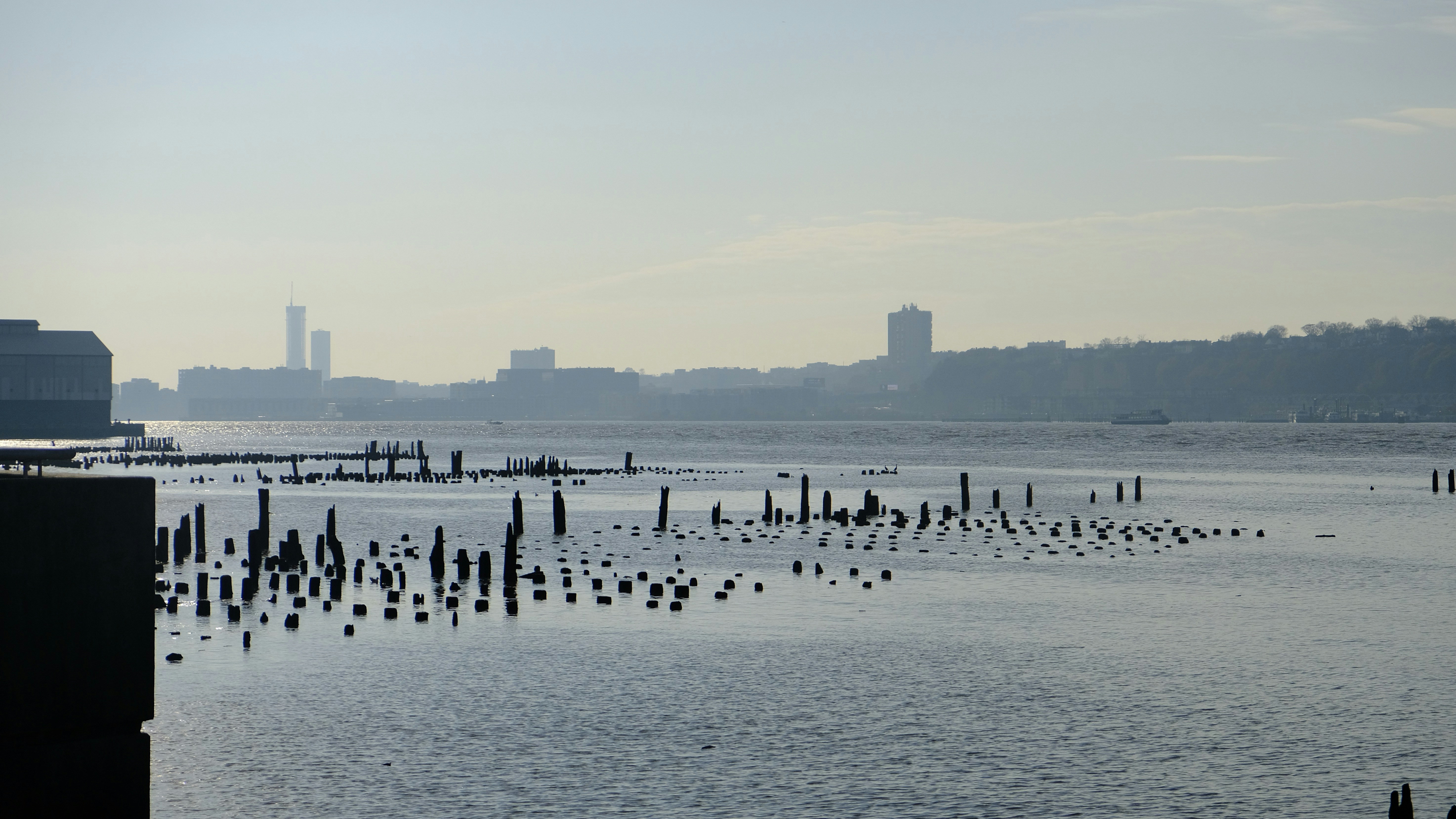 Distant Skyline and Buoyant Pilings Across Calm Harbor