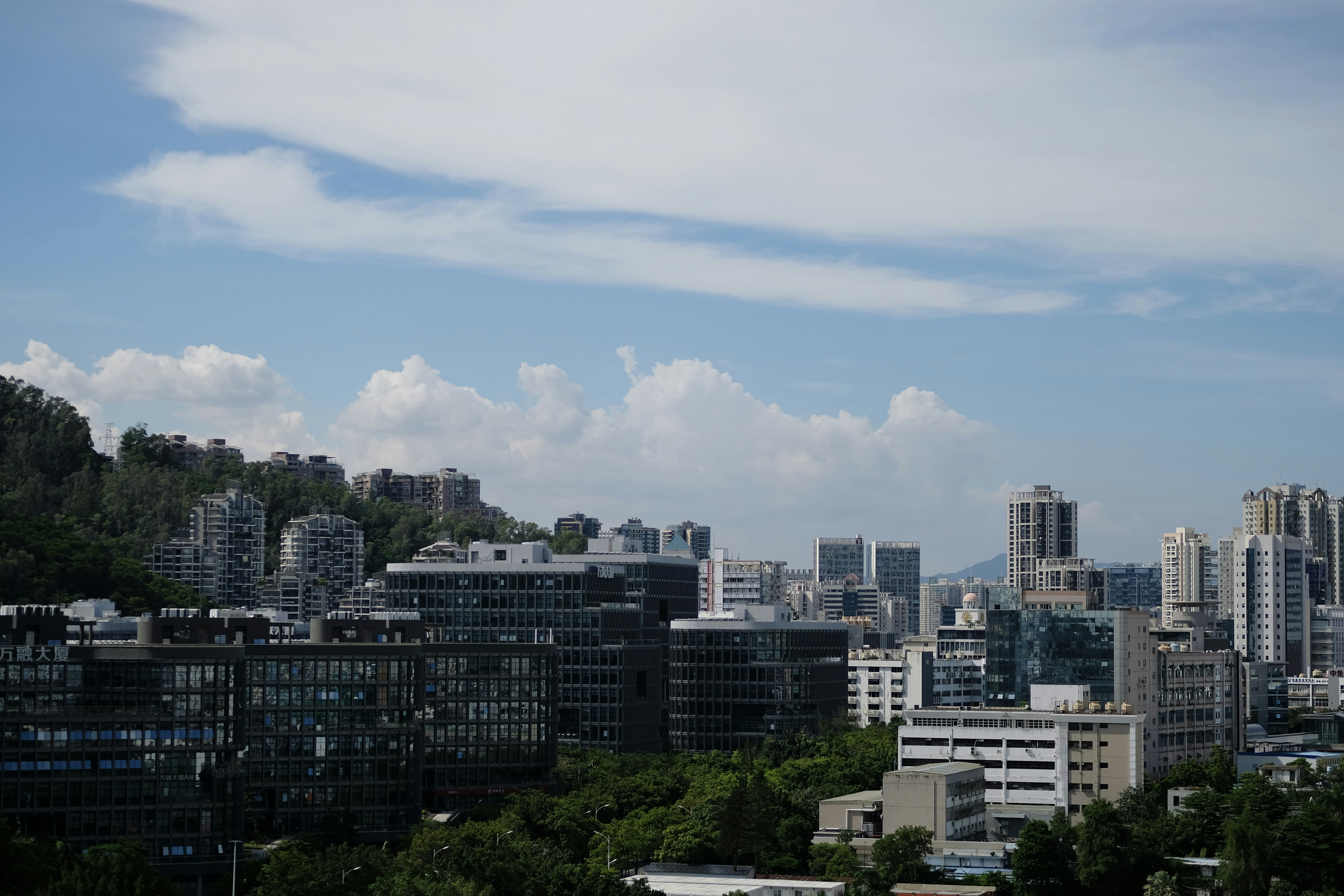 Midday Skyline: Glass and Green Beneath an Open Sky