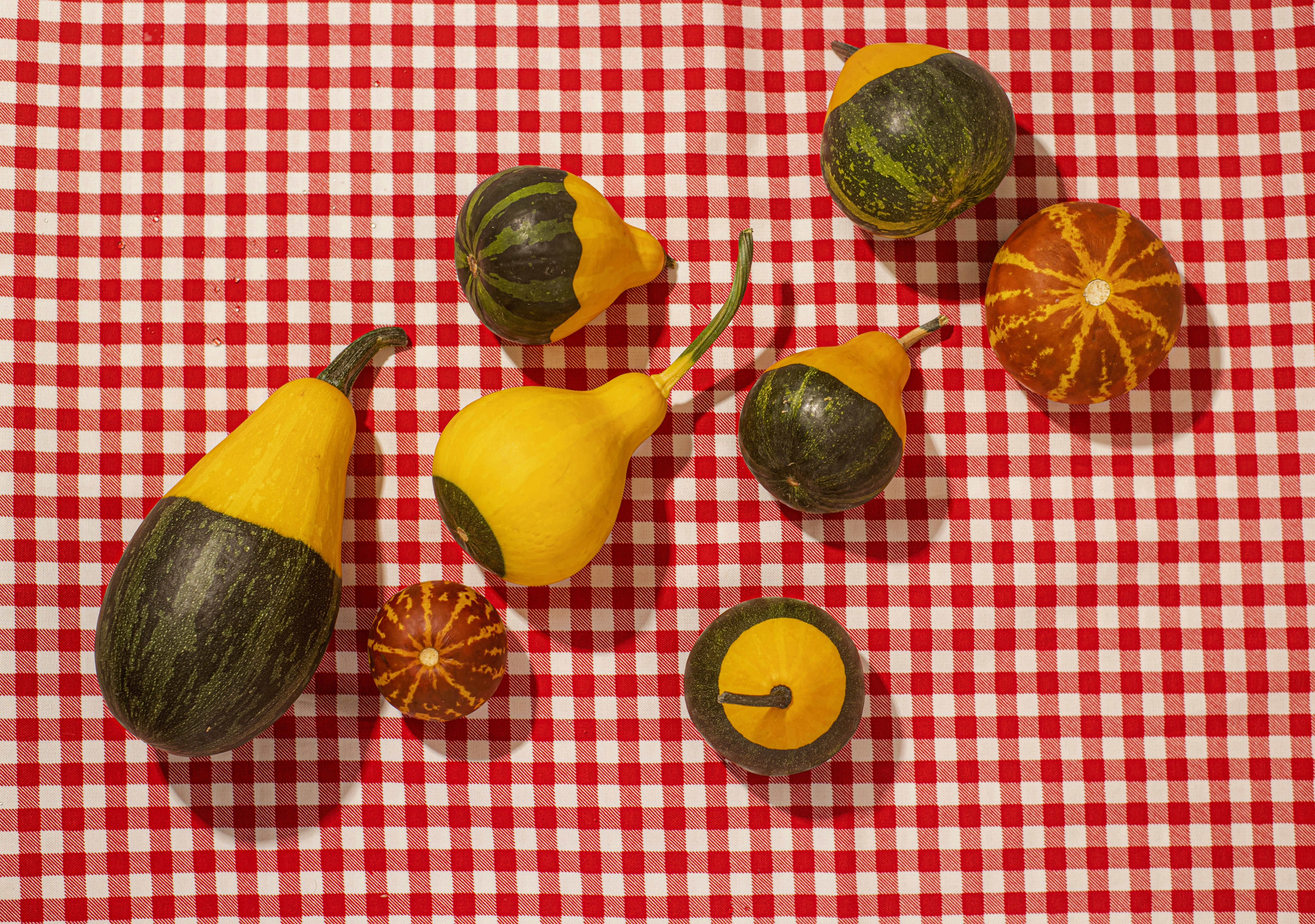 Checkerboard Harvest: small gourds on a vintage red-checked table