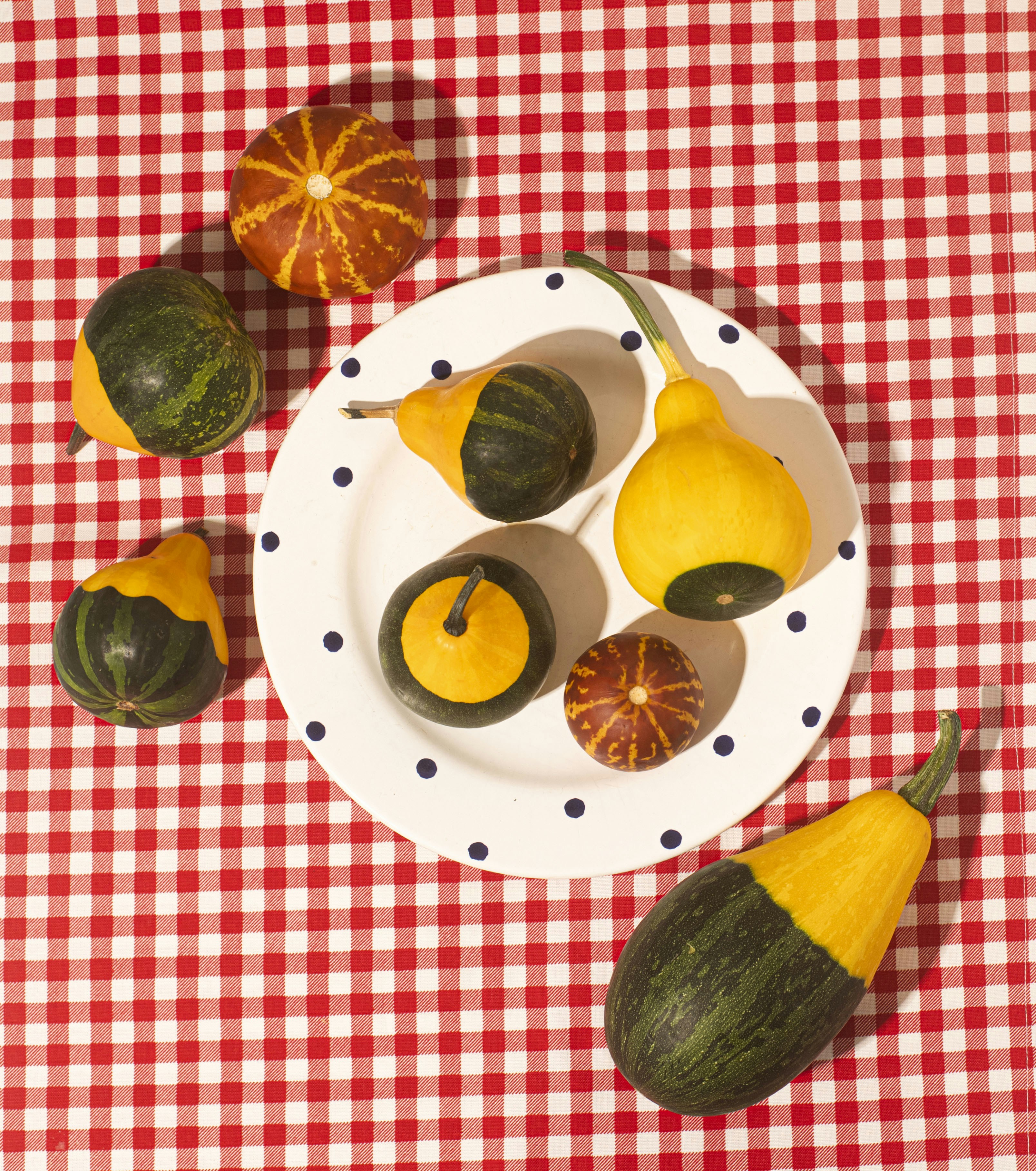 Gourd Parade on a Red-Checked Stage
