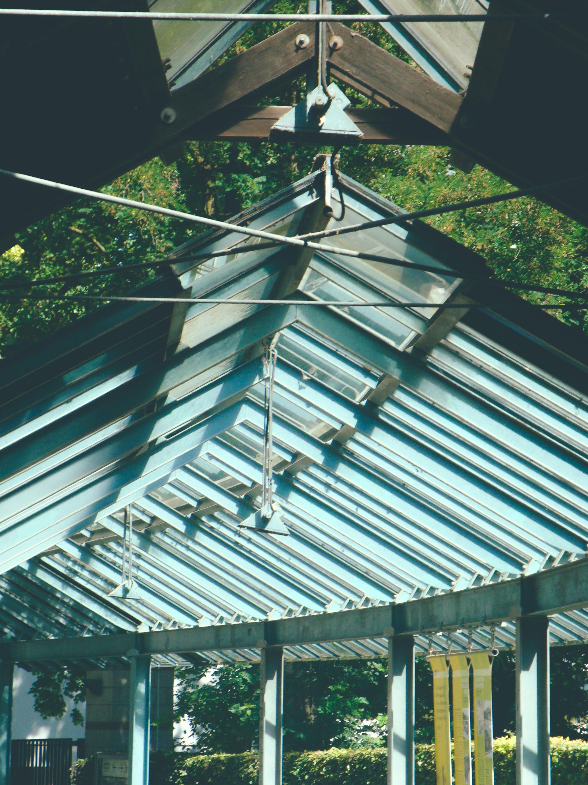Glassed Ridge: an A-frame greenhouse sliced by steel cables