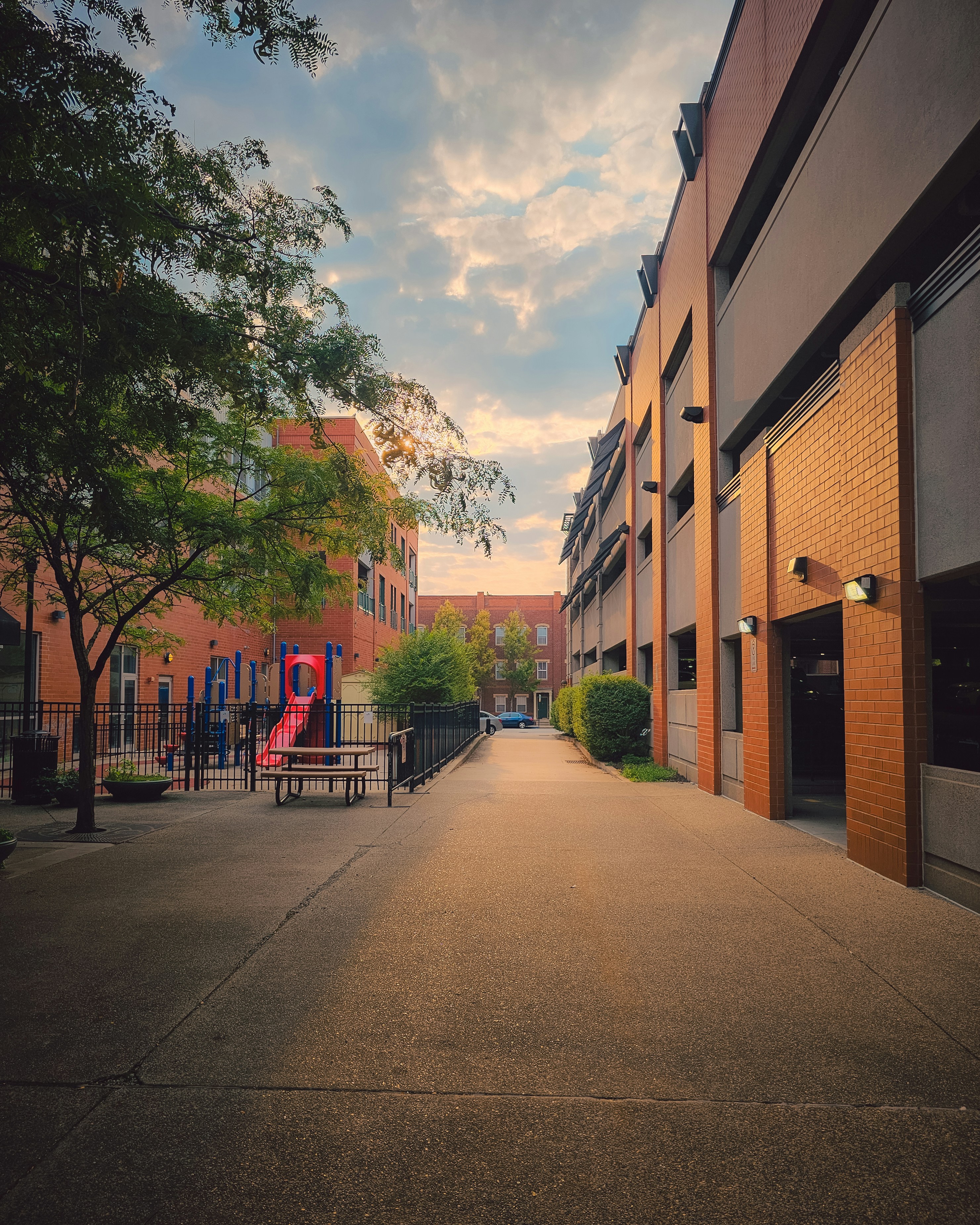 Quiet Campus Corridor at Golden Hour