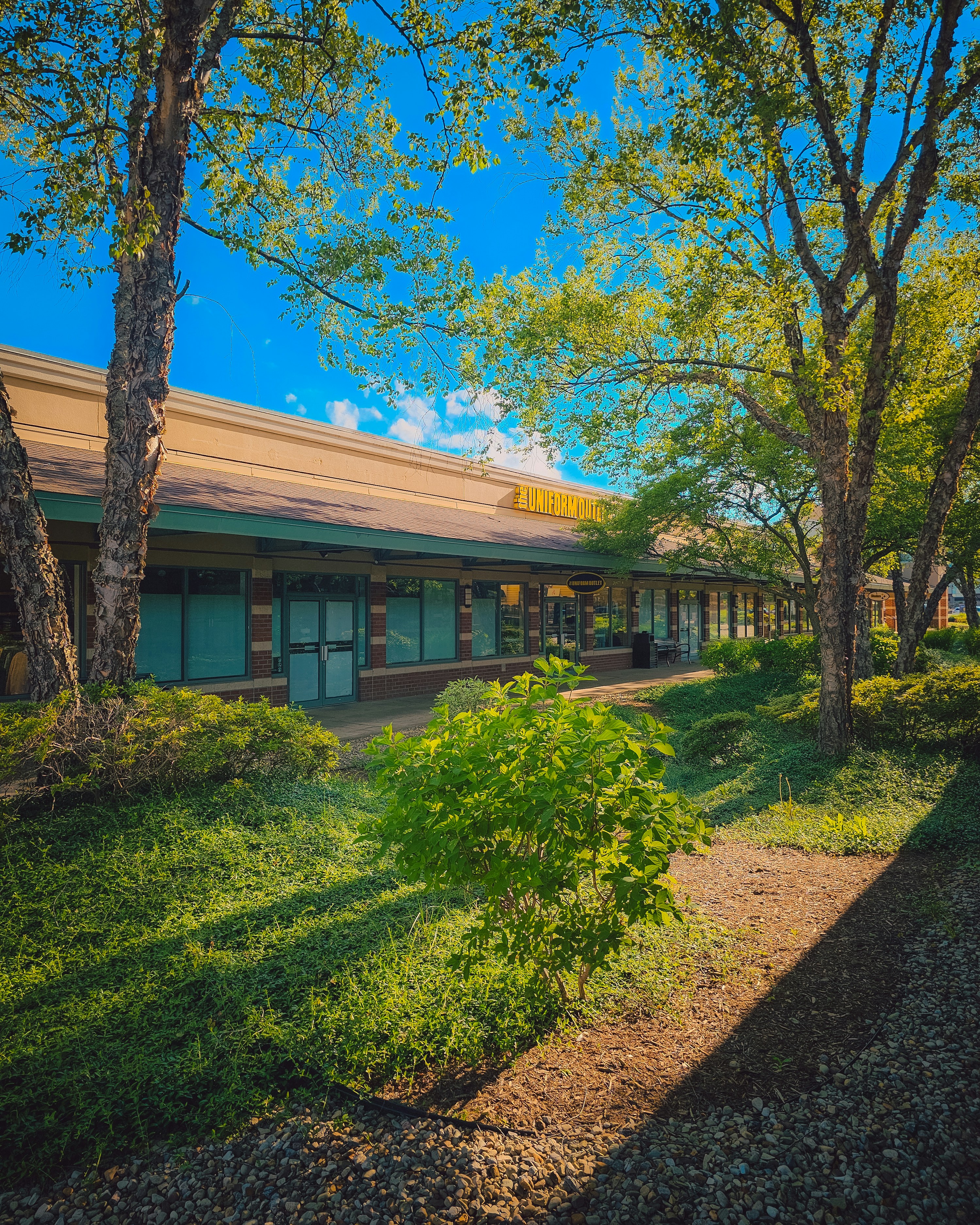 Sunlit Strip Mall Amid Verdant Trees