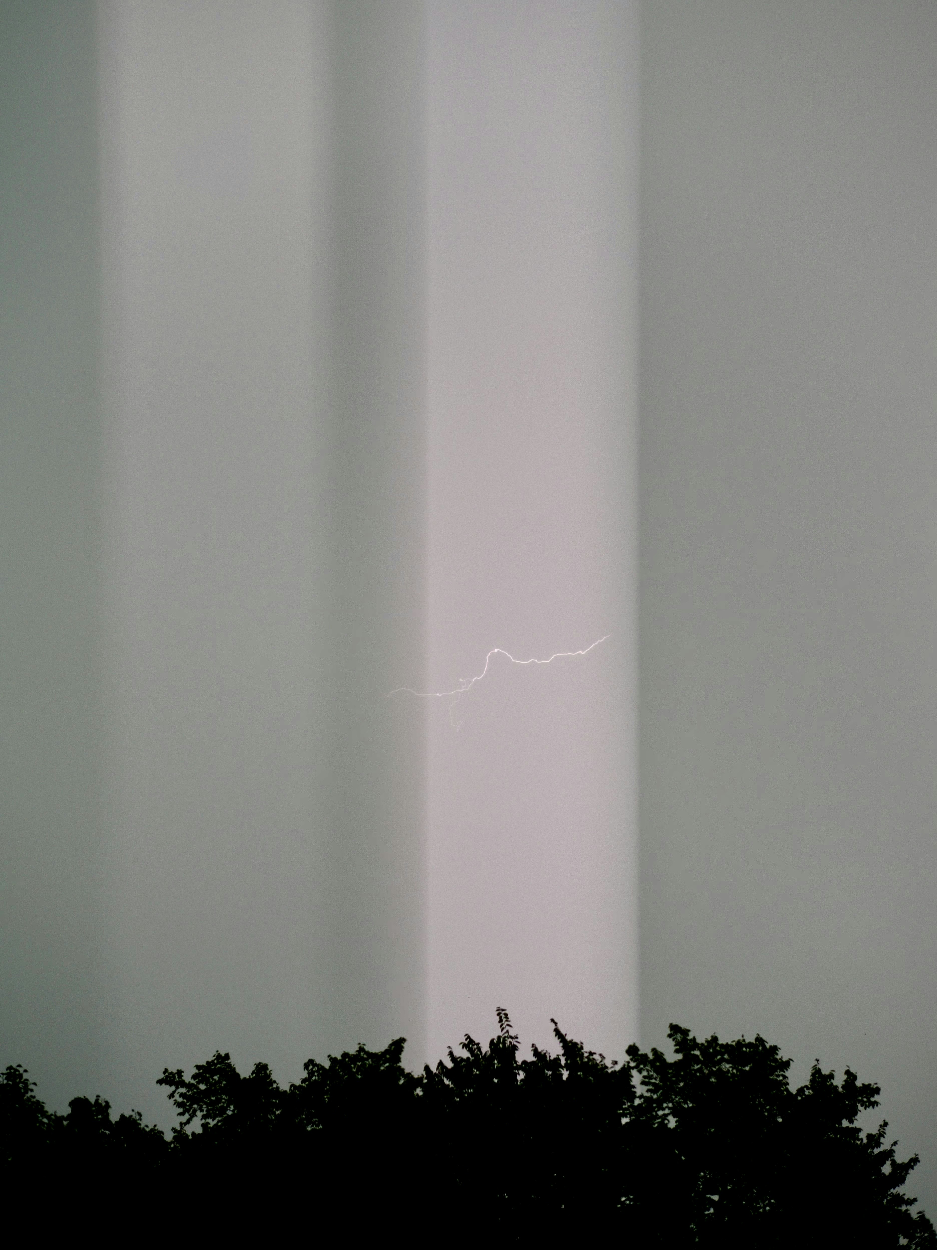 Lightning Thread in the Sky: A Sudden Wisp Above the Silhouetted Trees