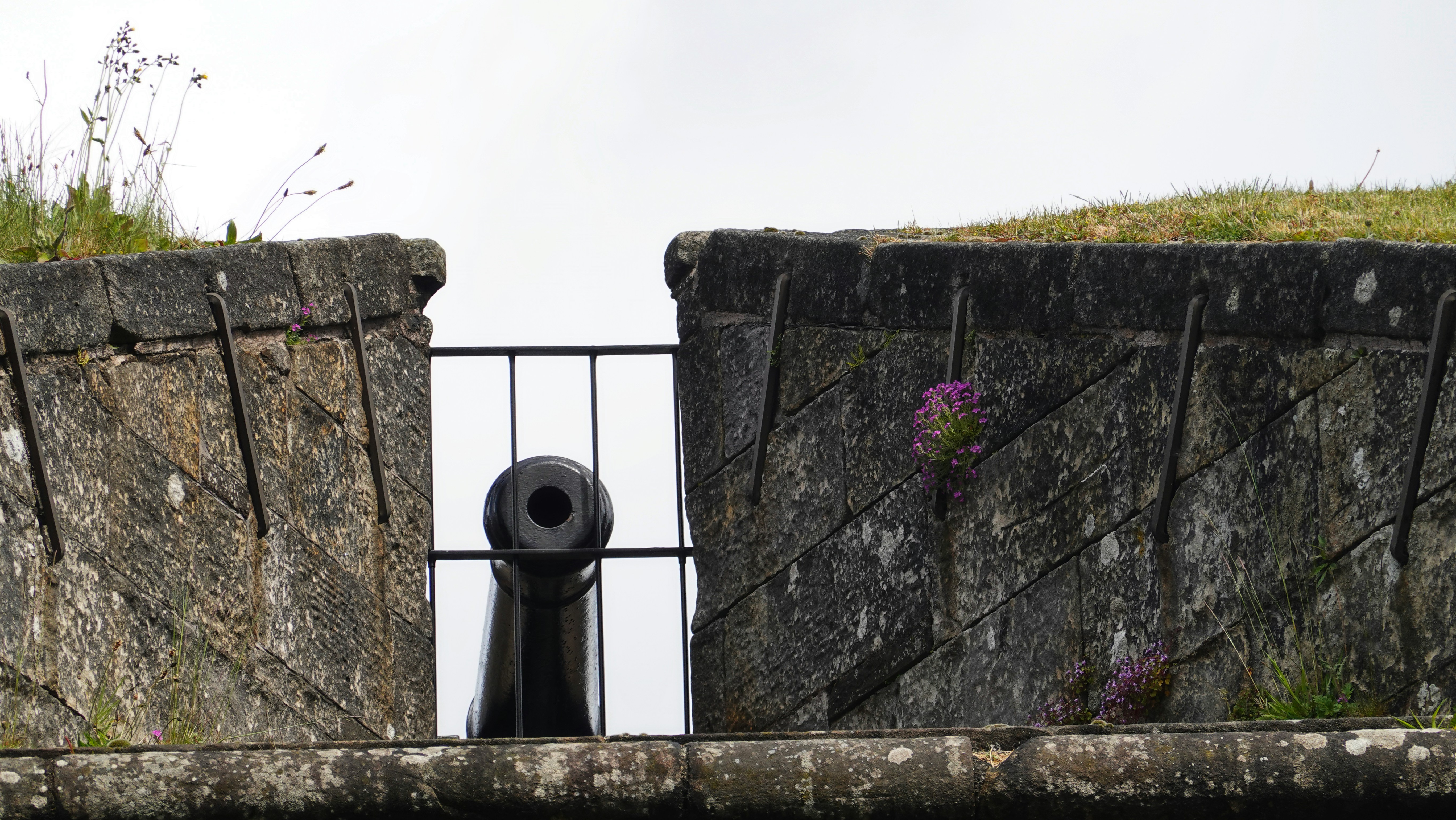 Guarded Gaze: An Old Cannon Peeks Between Weathered Walls