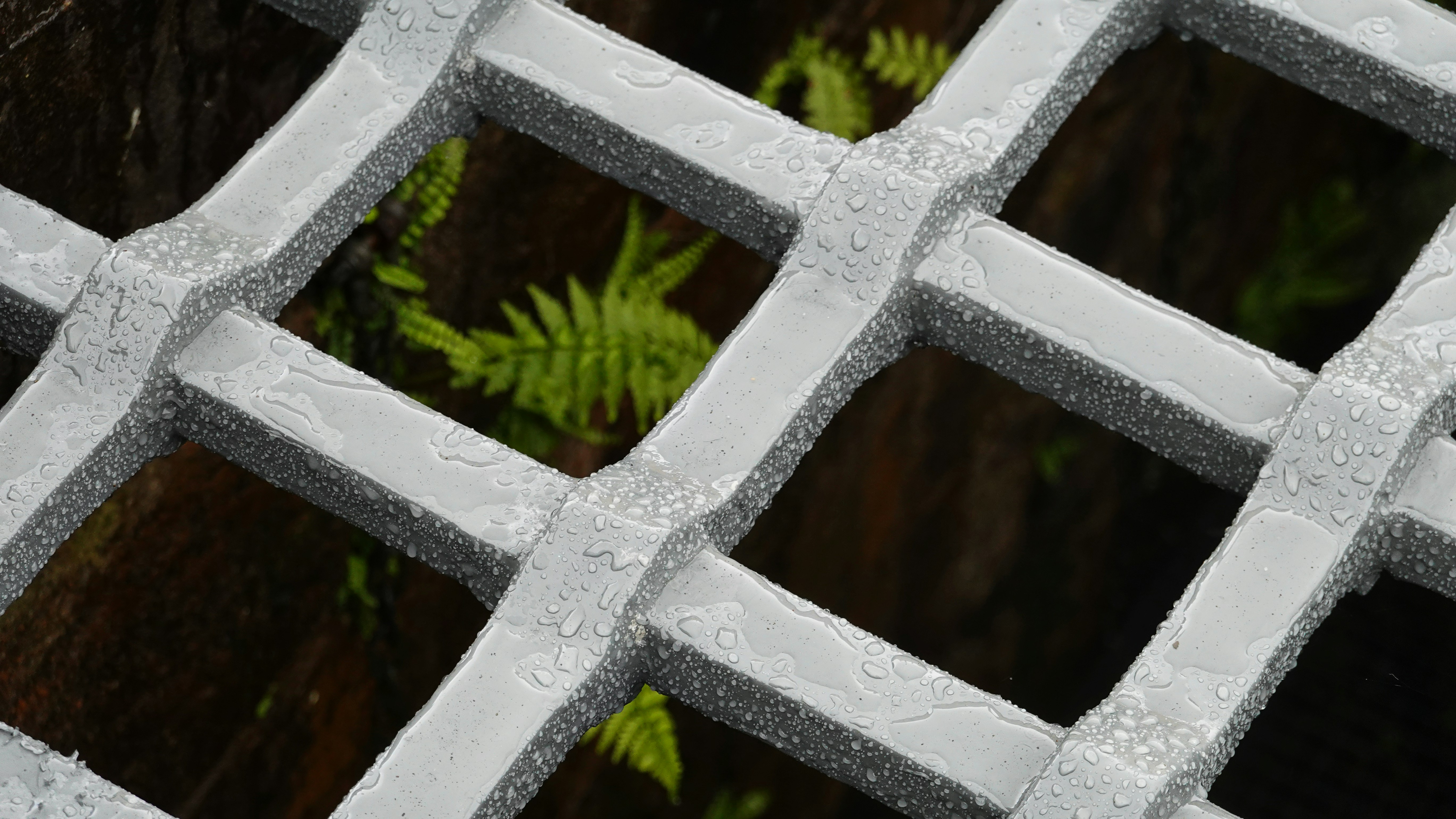  Raindrops on a woven metal grate