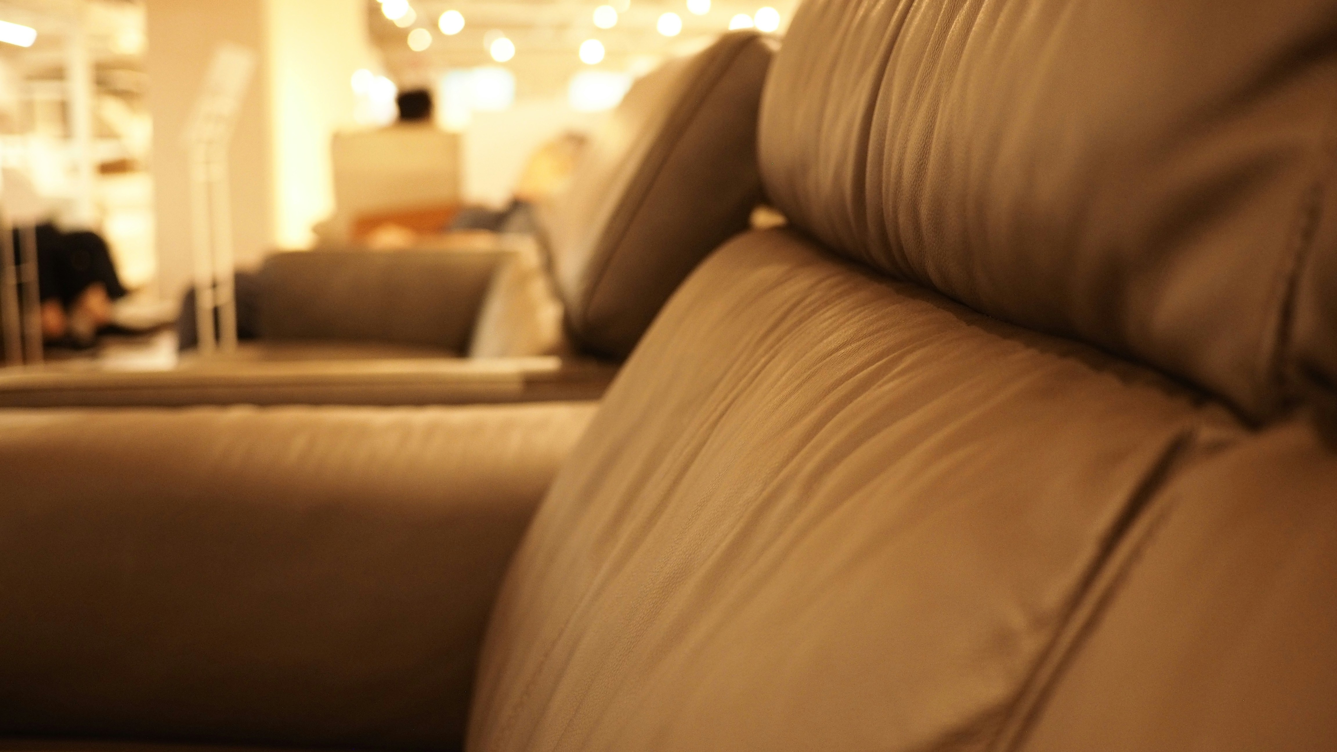 Leather Lounge: Quiet Corner of Comfort and Light