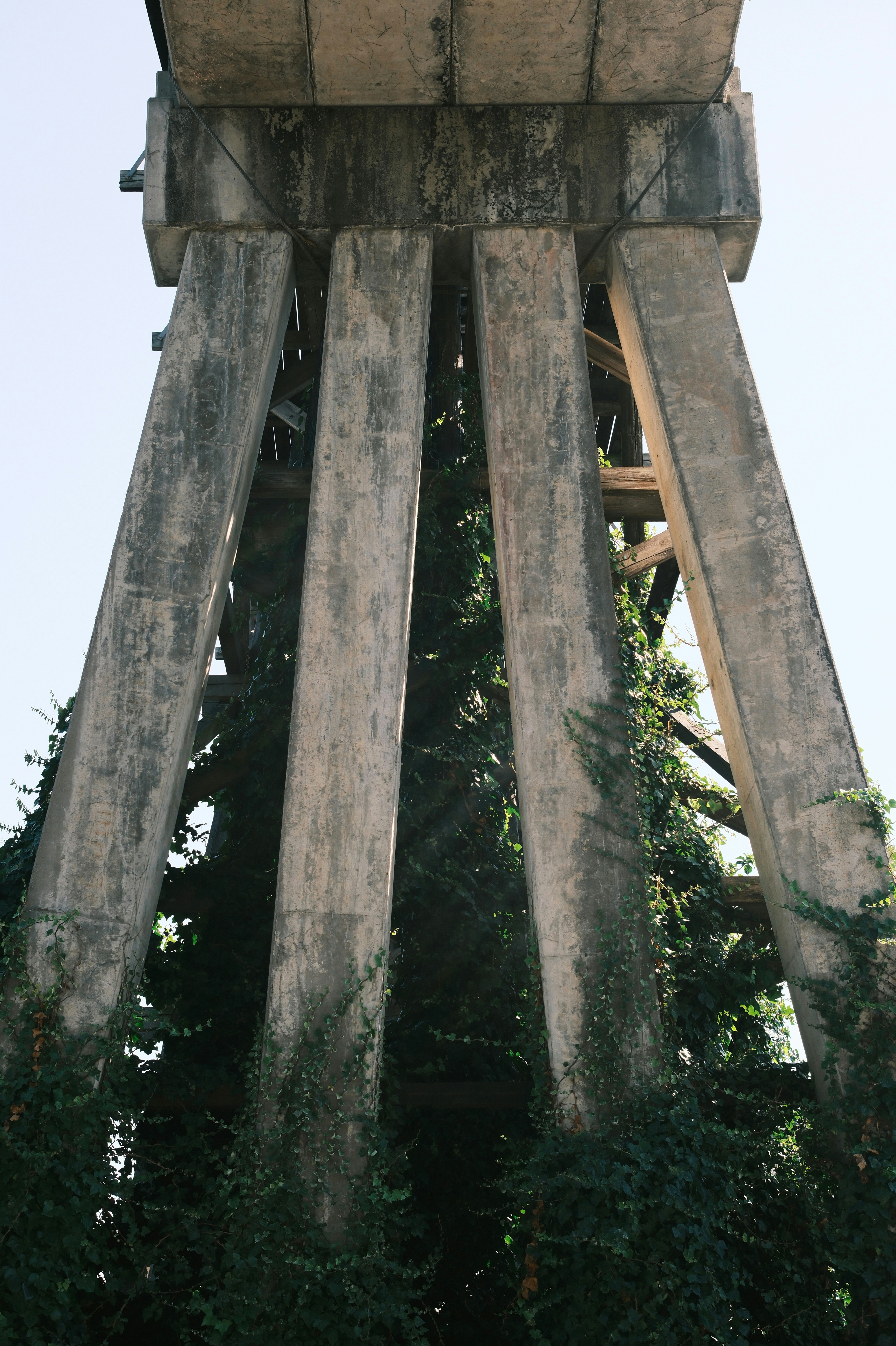 Tall concrete pillars rise with vines clinging to their weathered surfaces, forming a dramatic architectural frame around greenery beneath a bright sky.