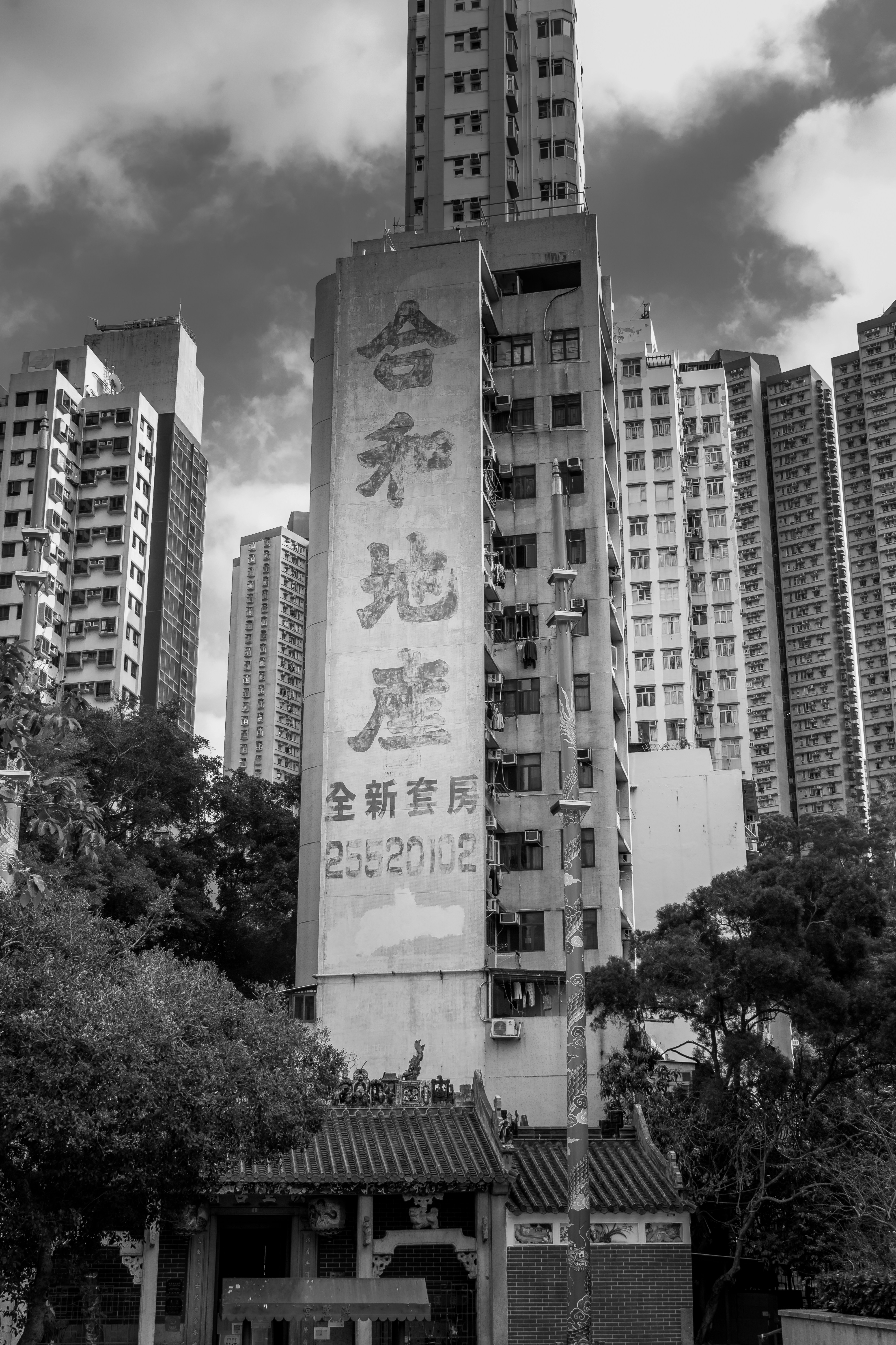 Towering Chinese Signage Amid Urban Clones