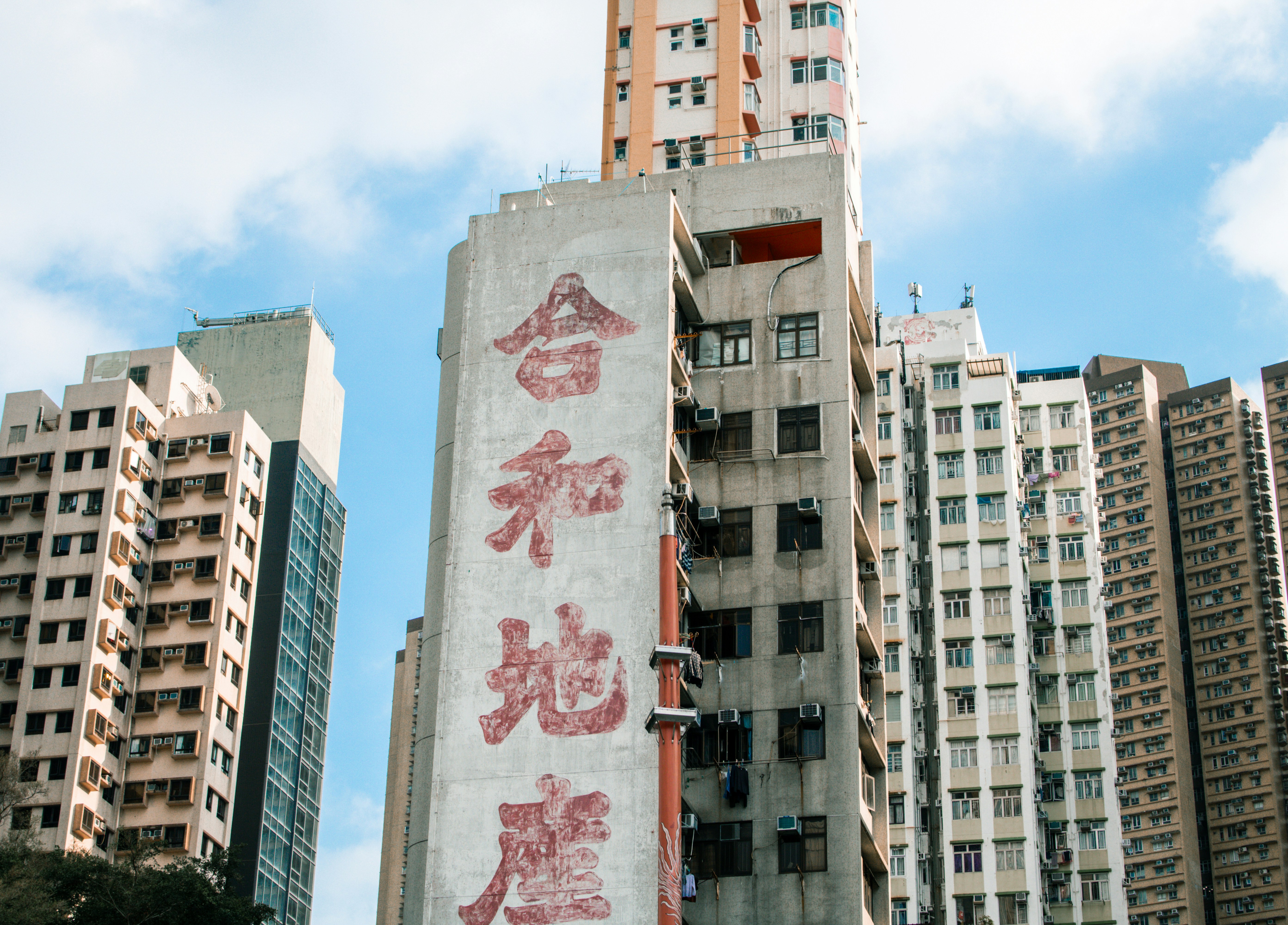 Vertical Signage Among Skyscrapers: A Concrete City Portrait