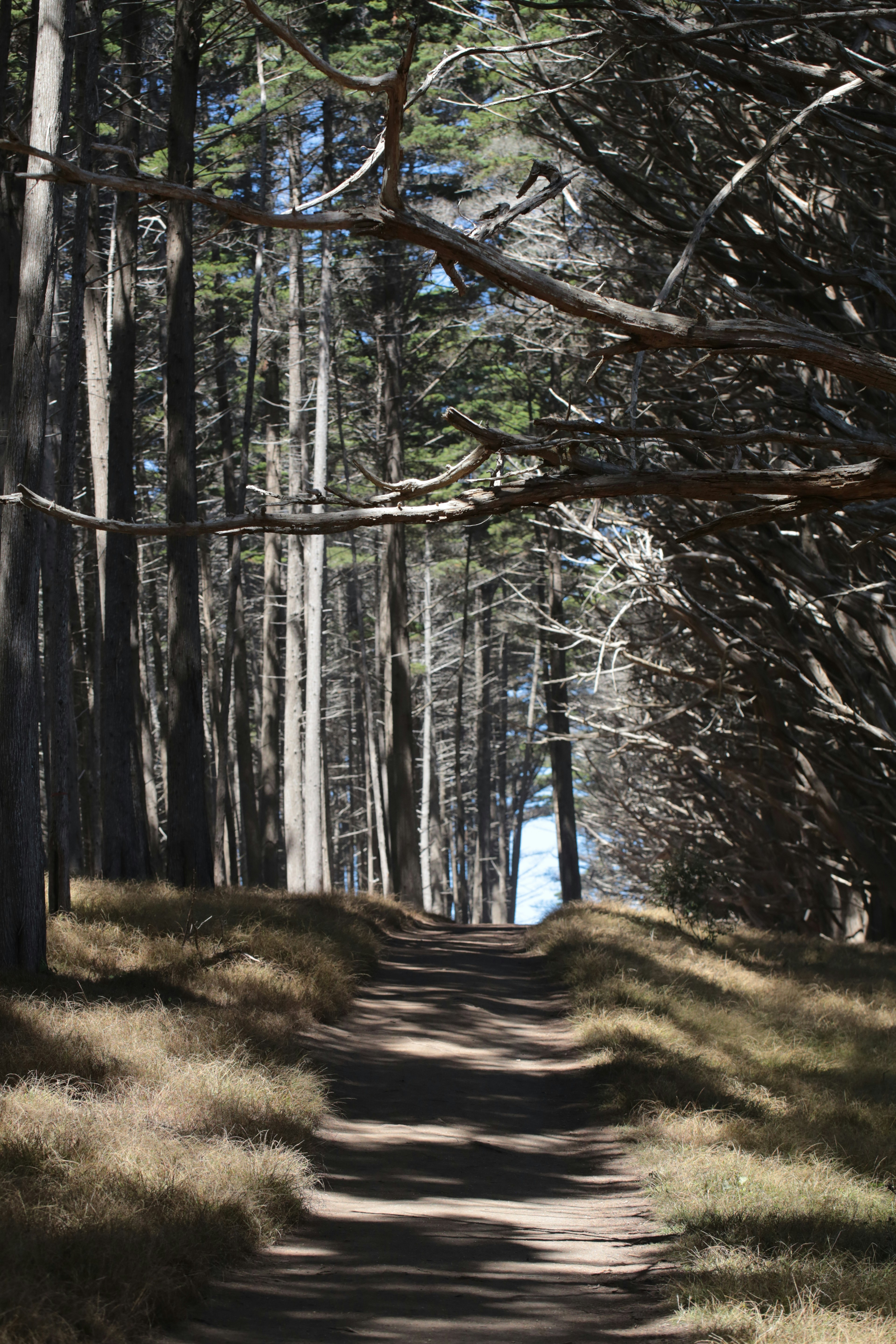 Photo by Sean Thoman with Canon EOS 5D Mark III