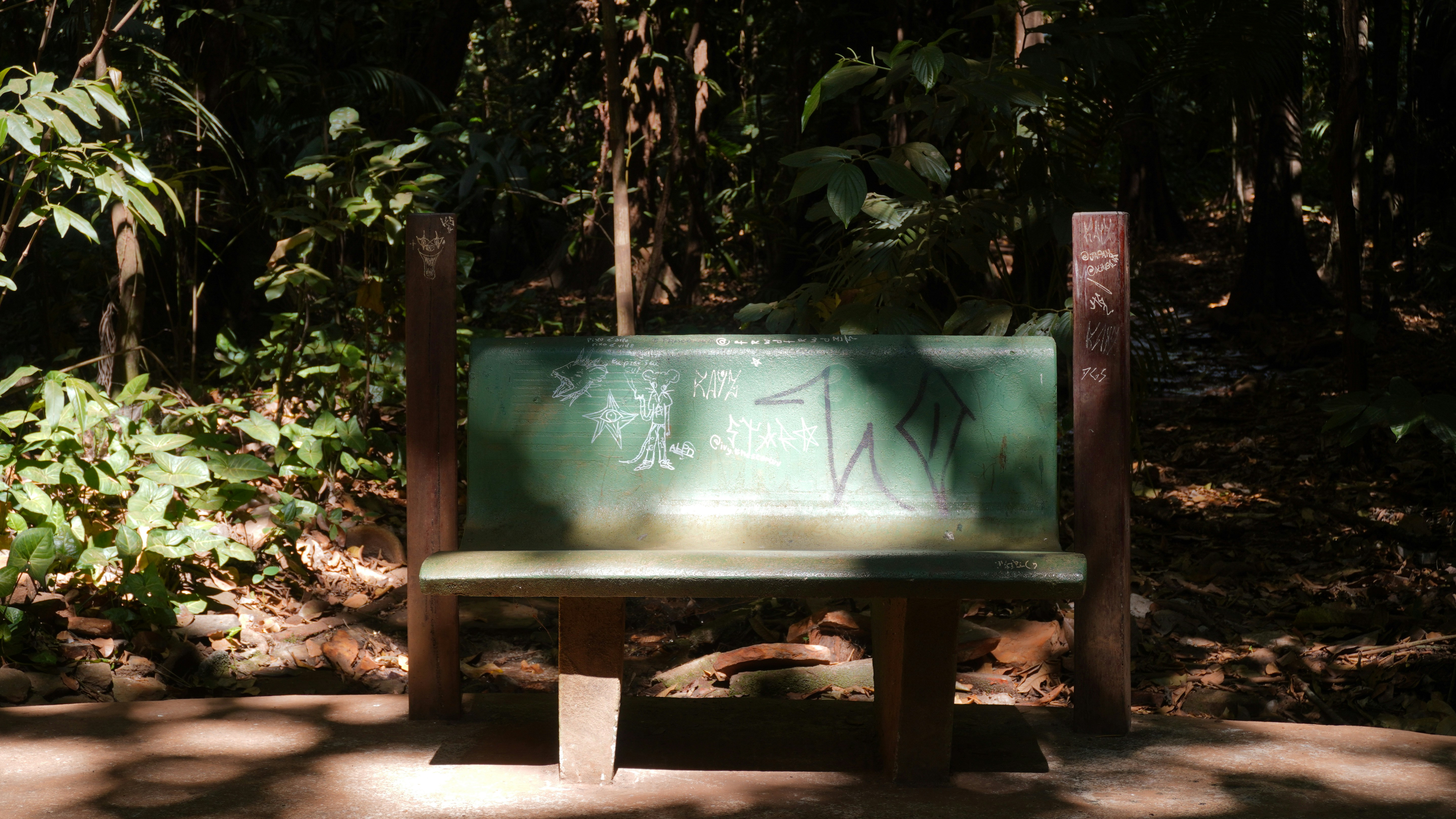 Sunlit Bench in Shadowed Forest
