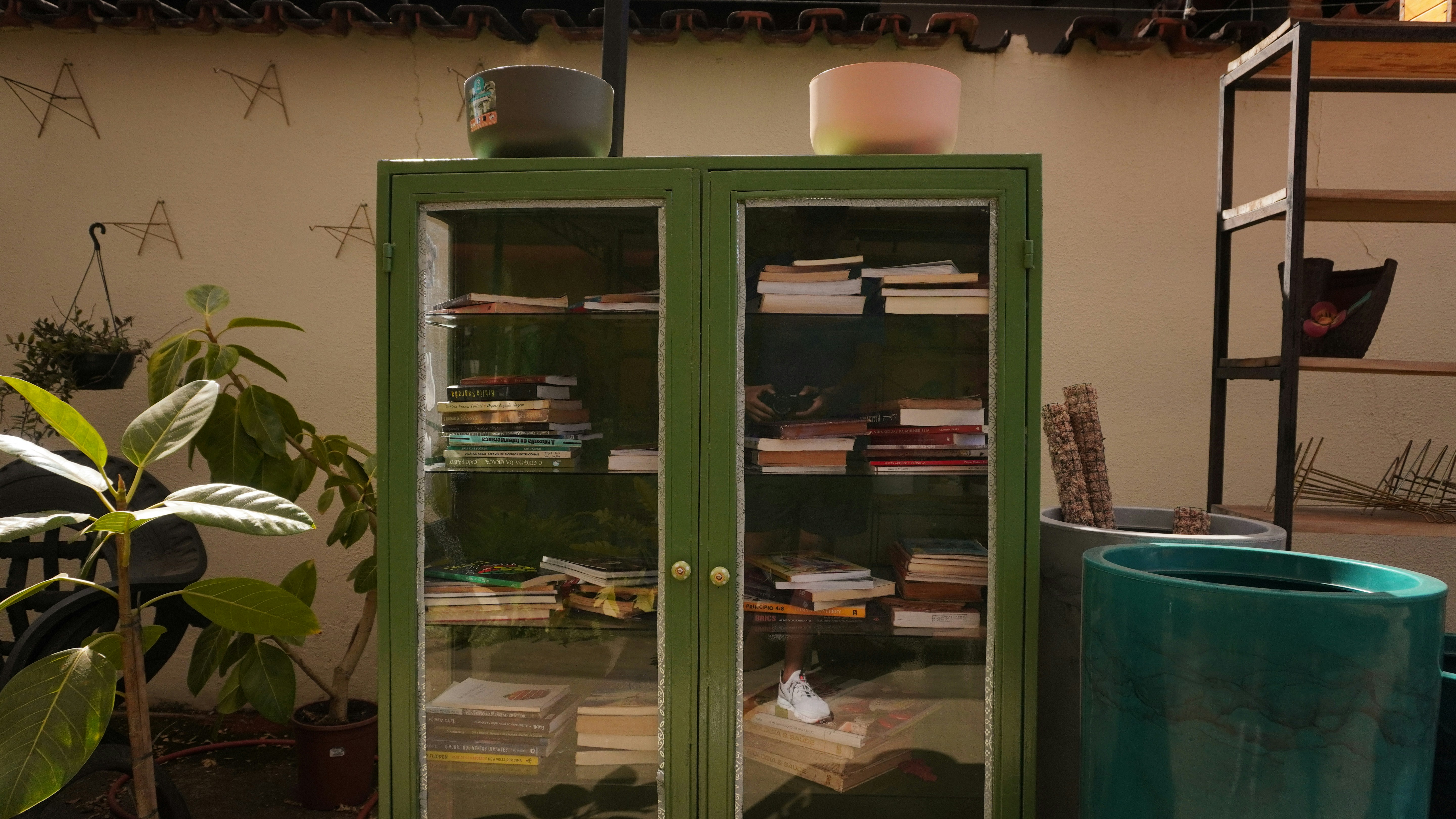 Green cabinet of books: a quiet shelf-scene in a sunlit corner