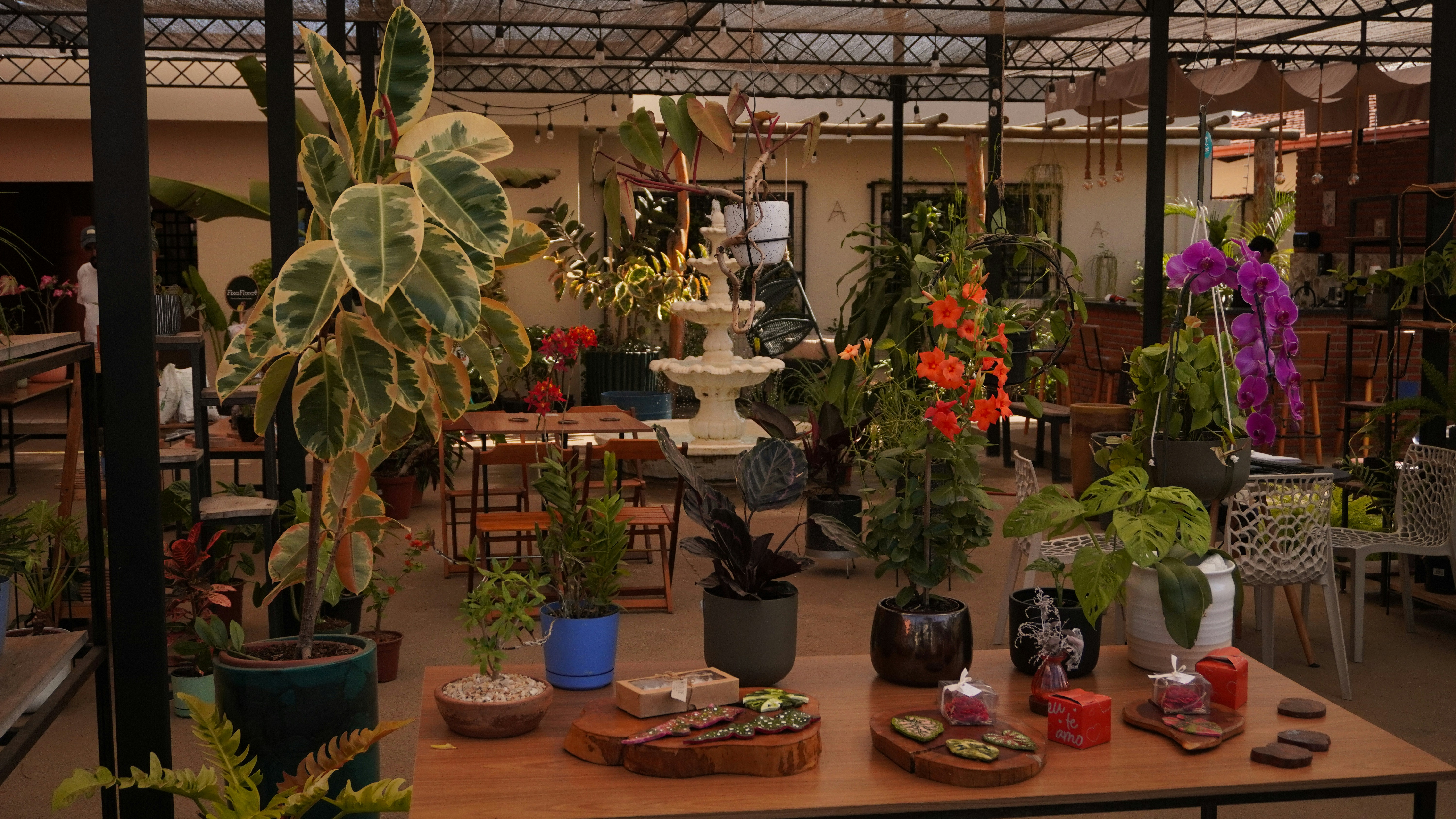 Ornamental Plant Village: A Green Oasis Amid Indoor Decor
