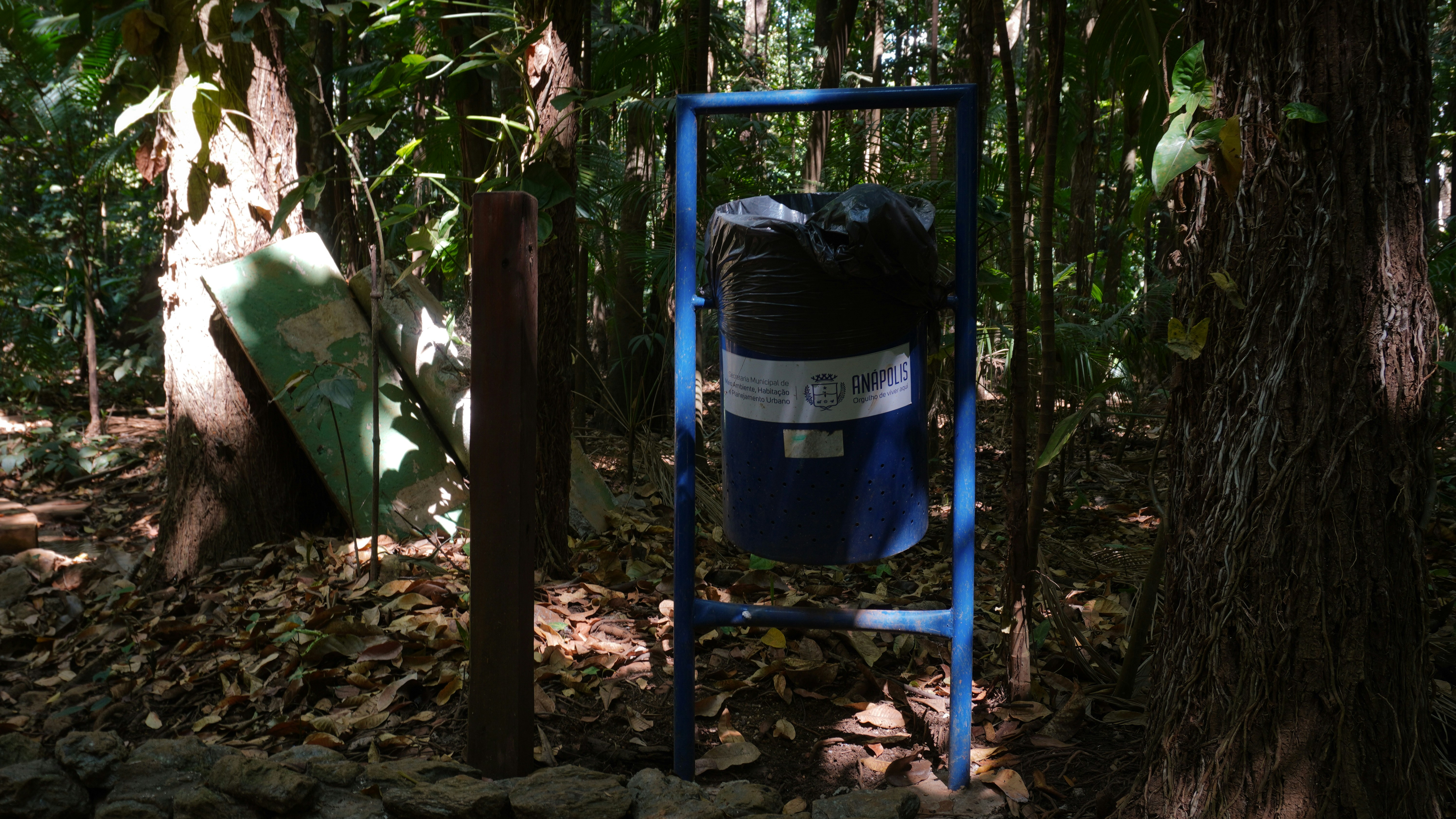 A blue-framed trash receptacle stands between trees in a shaded wooded area with fallen leaves on the ground. The scene emphasizes urban maintenance within a natural setting.